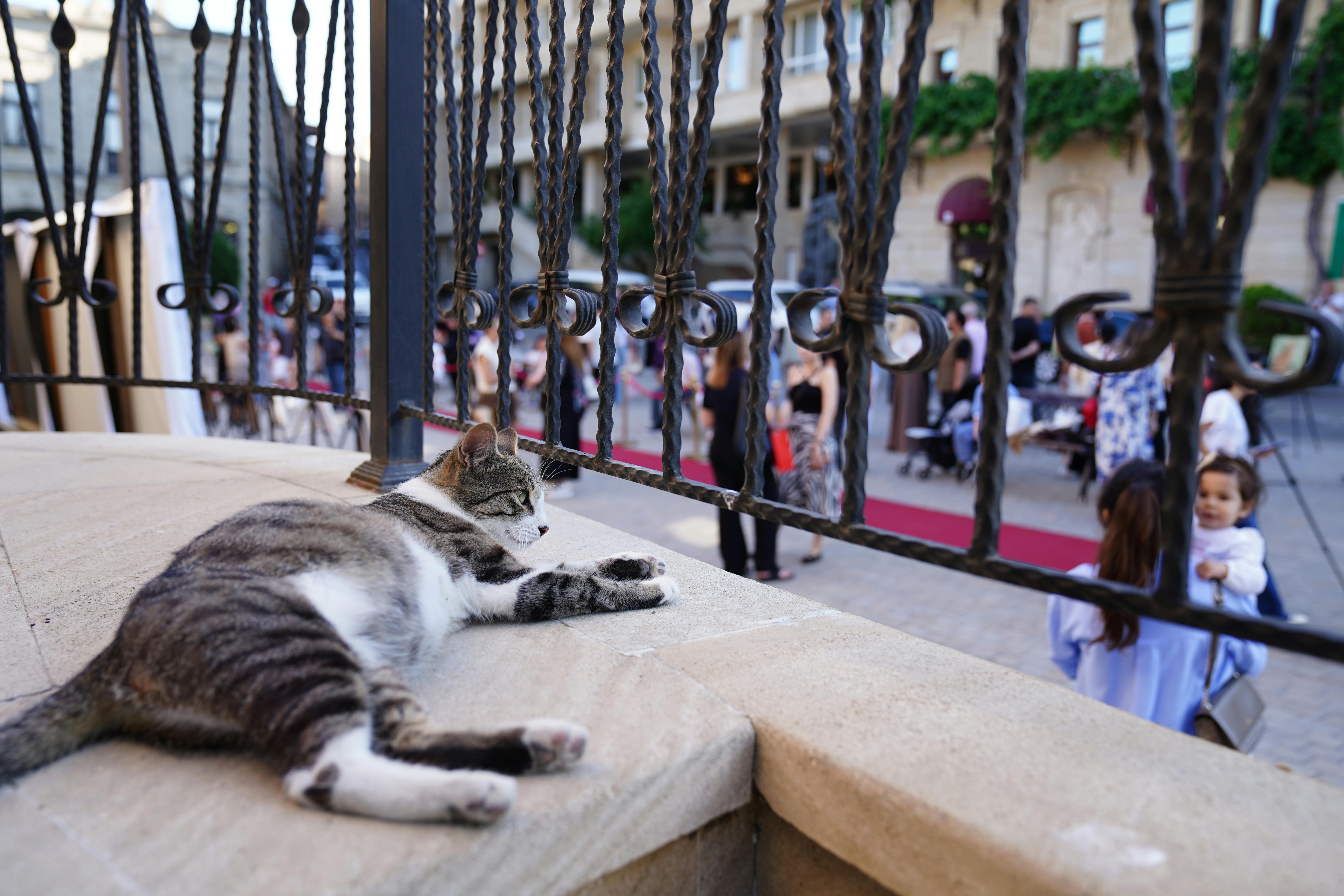 Observation Photos, Download The BEST Free Observation Stock Photos ...