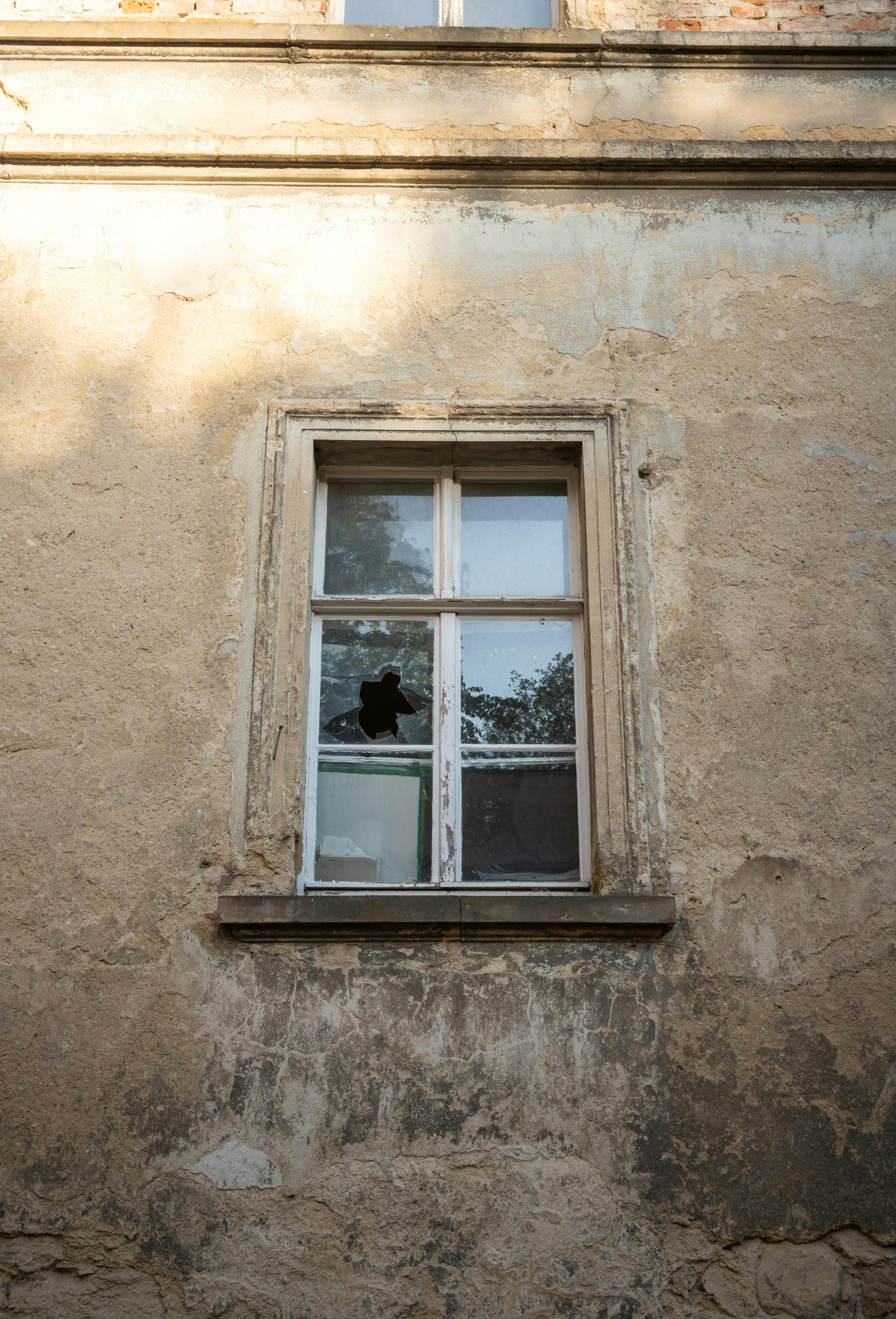 Hasbulla 4k Wallpaper Photos, Download The BEST Free Hasbulla 4k ...