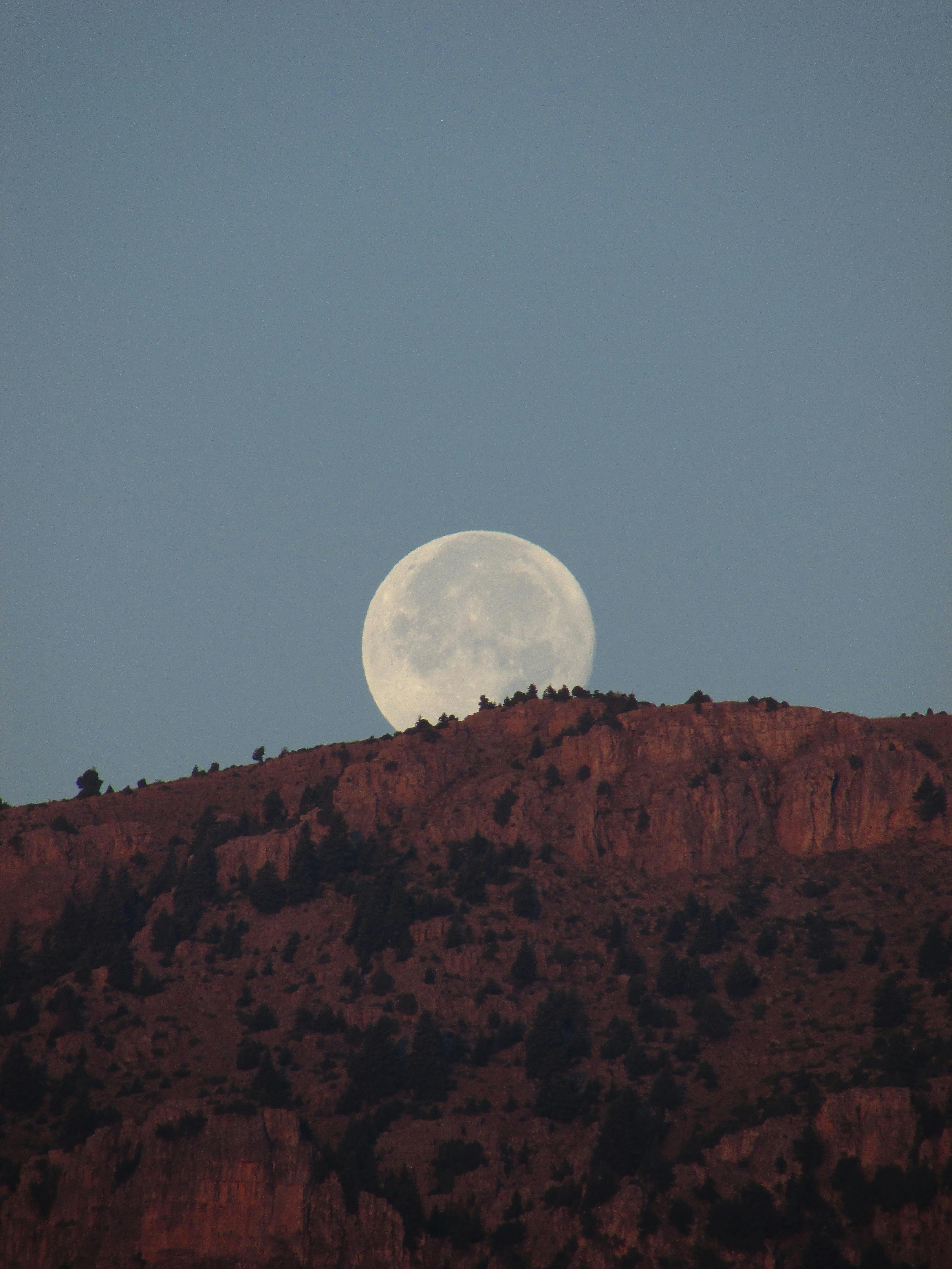 Fatma Kılıç - Photography