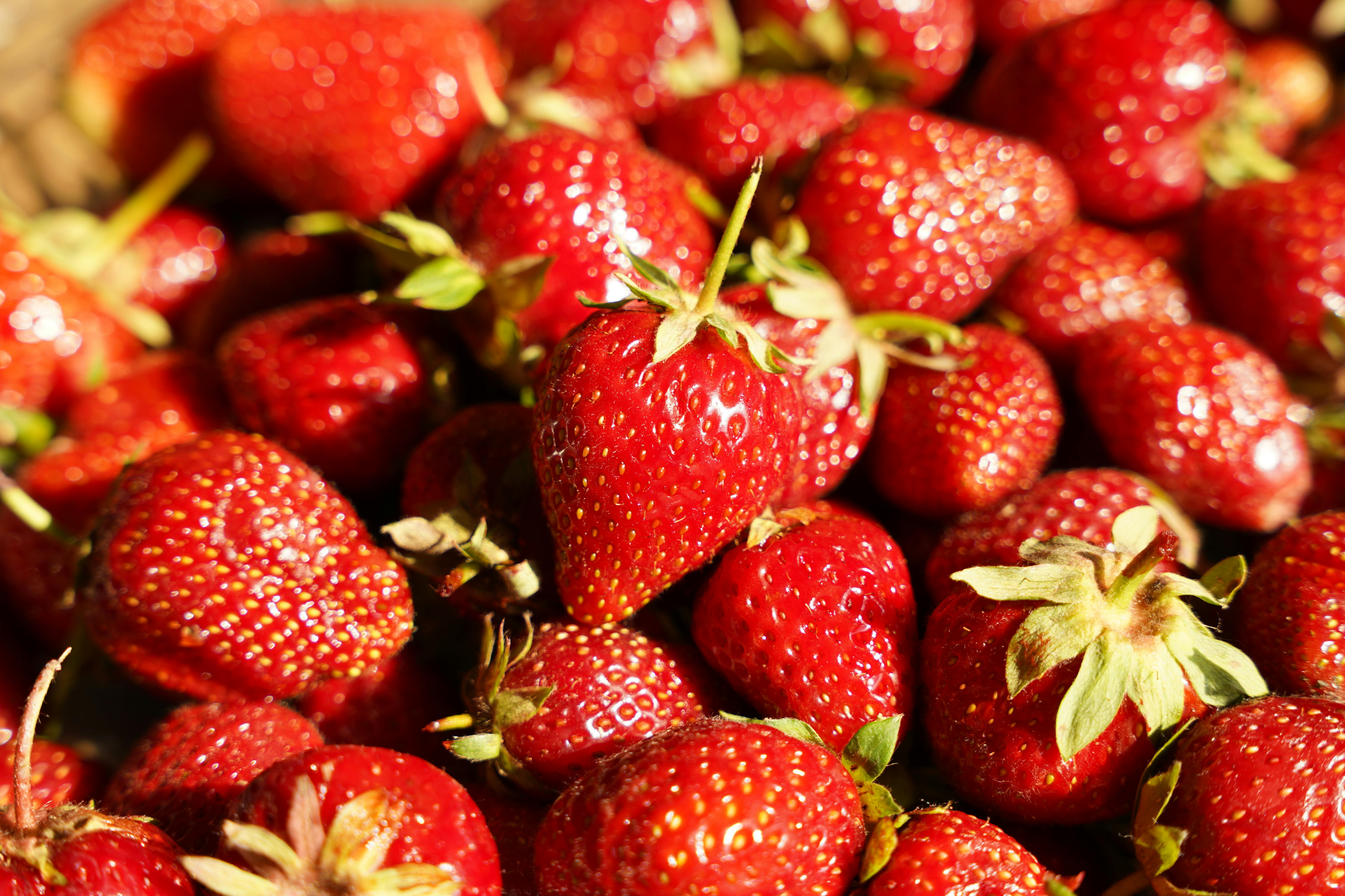 Raw Pixels Photos, Download The BEST Free Raw Pixels Stock Photos & HD ...