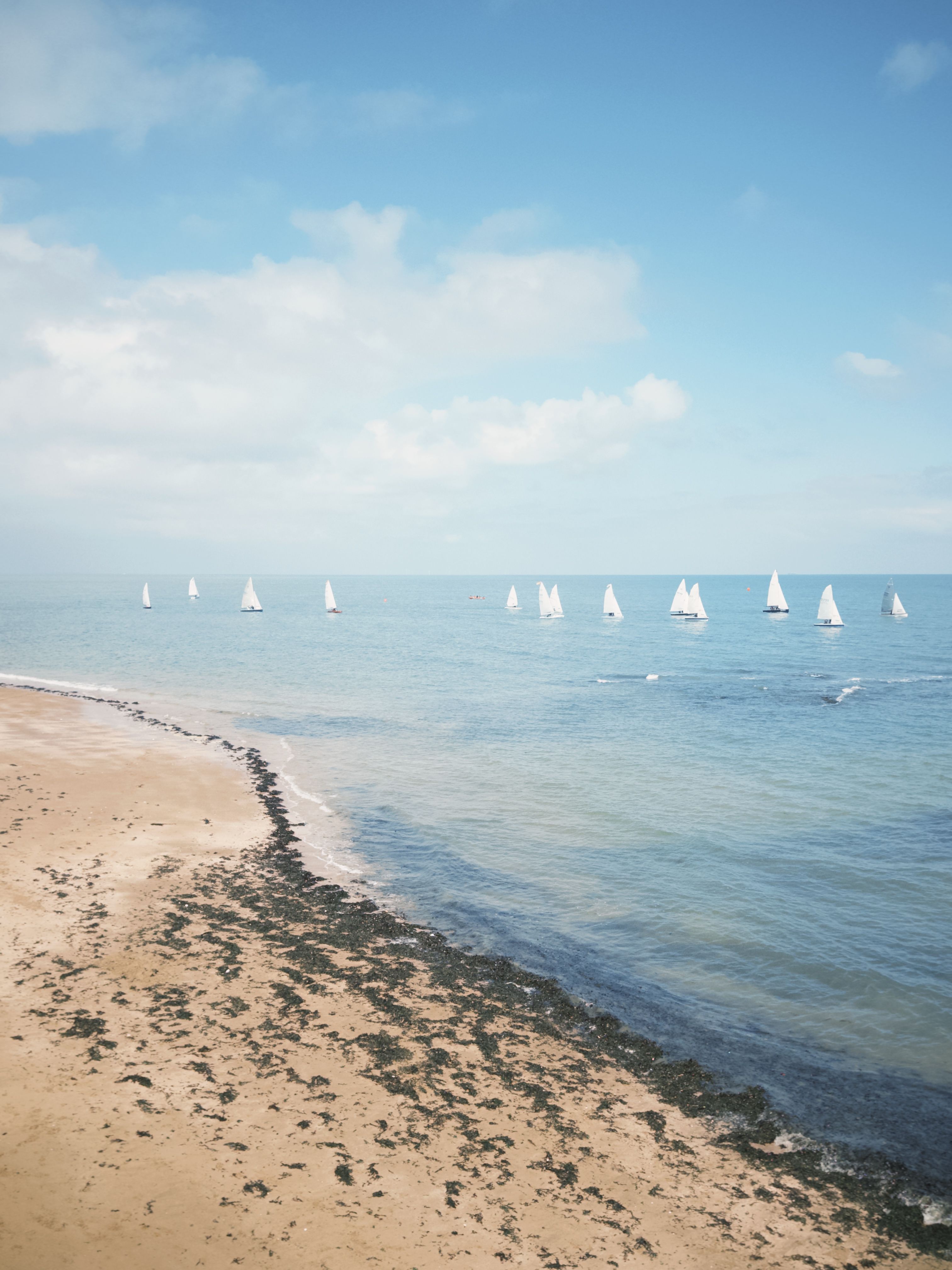 Ocean Mandala Photos, Download The BEST Free Ocean Mandala Stock Photos ...