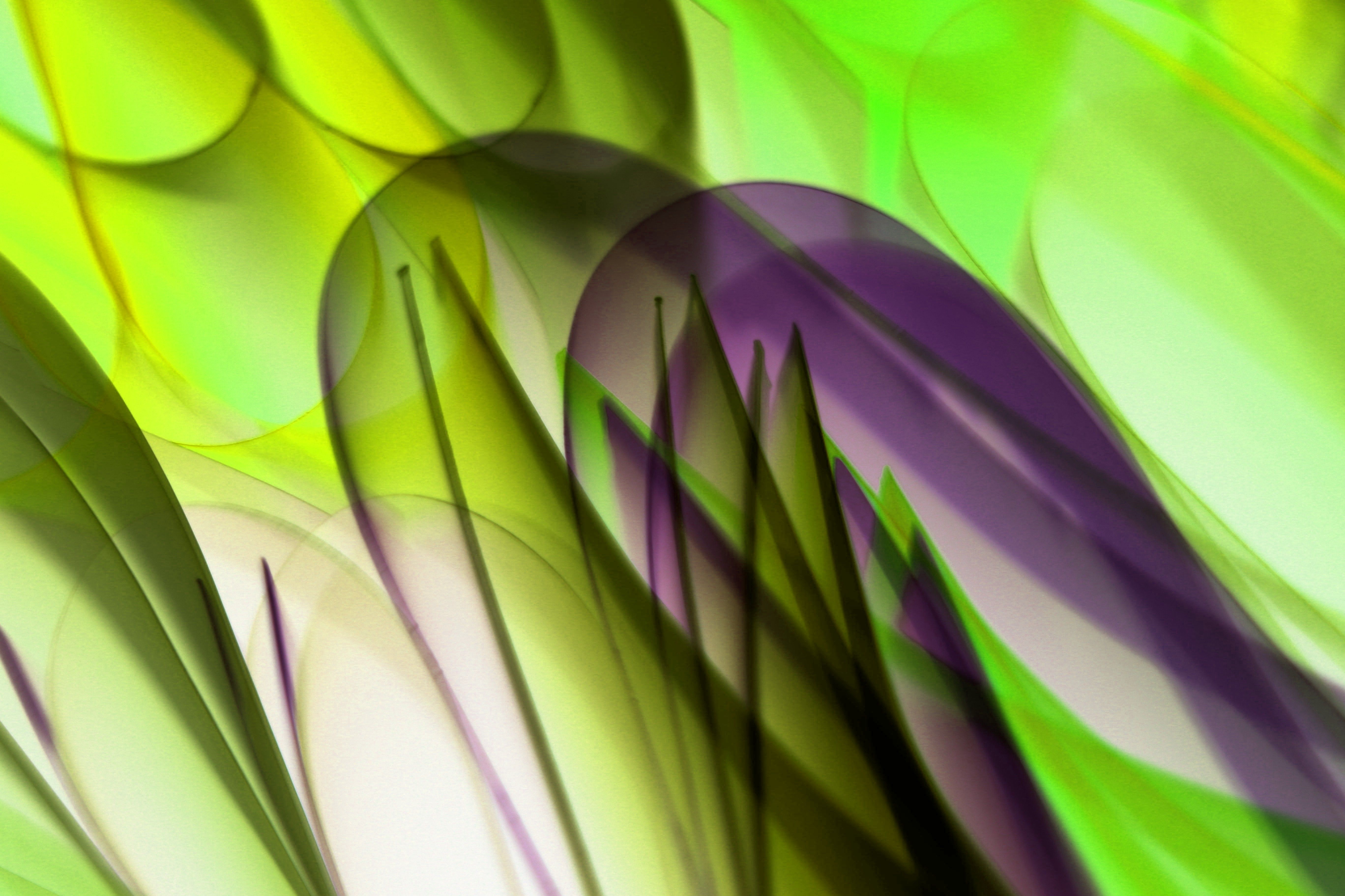 Green Abstract Photos, Download The BEST Free Green Abstract Stock ...