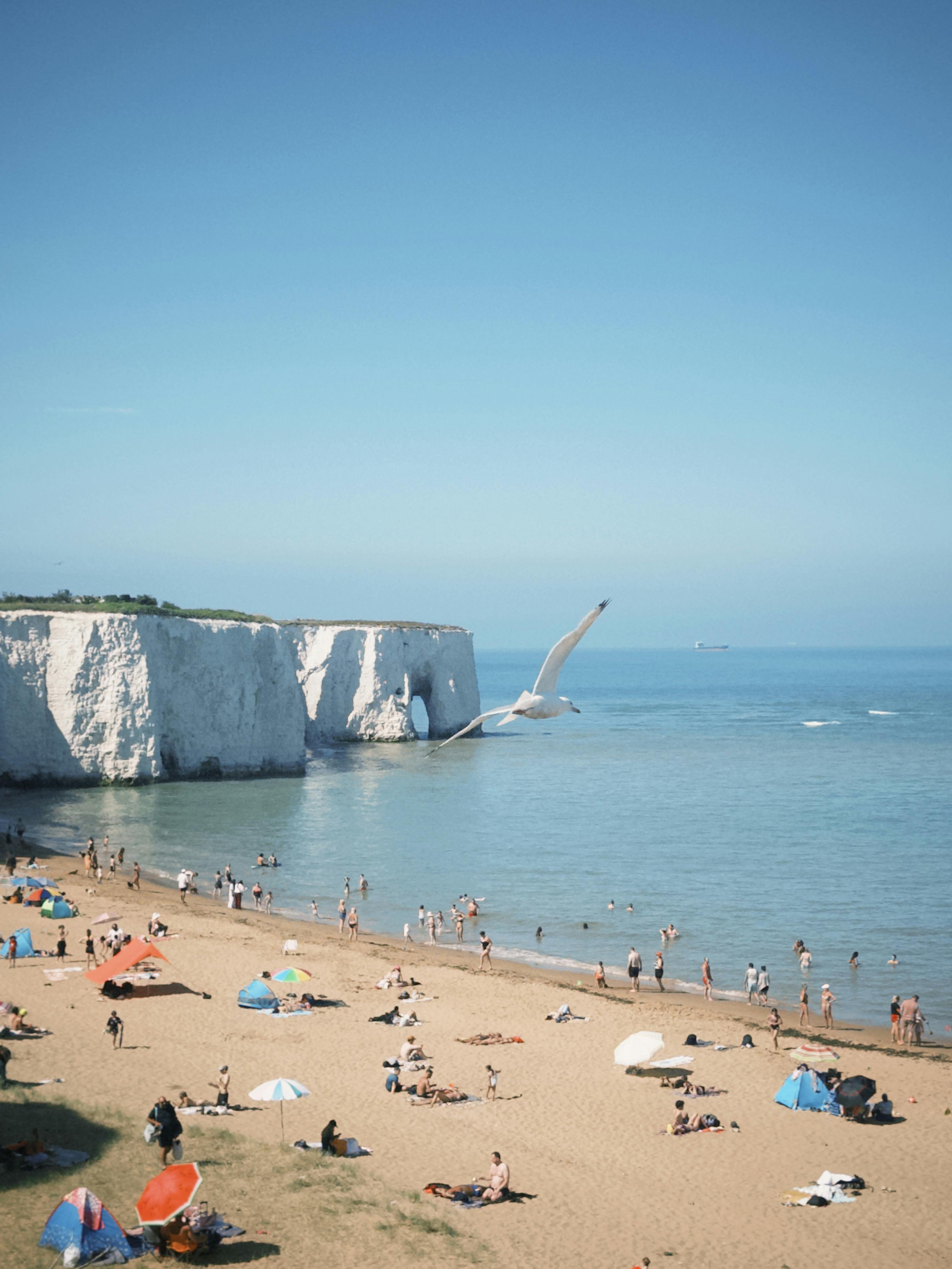 Human+Intercourse Photos, Download The BEST Free Human+Intercourse ...