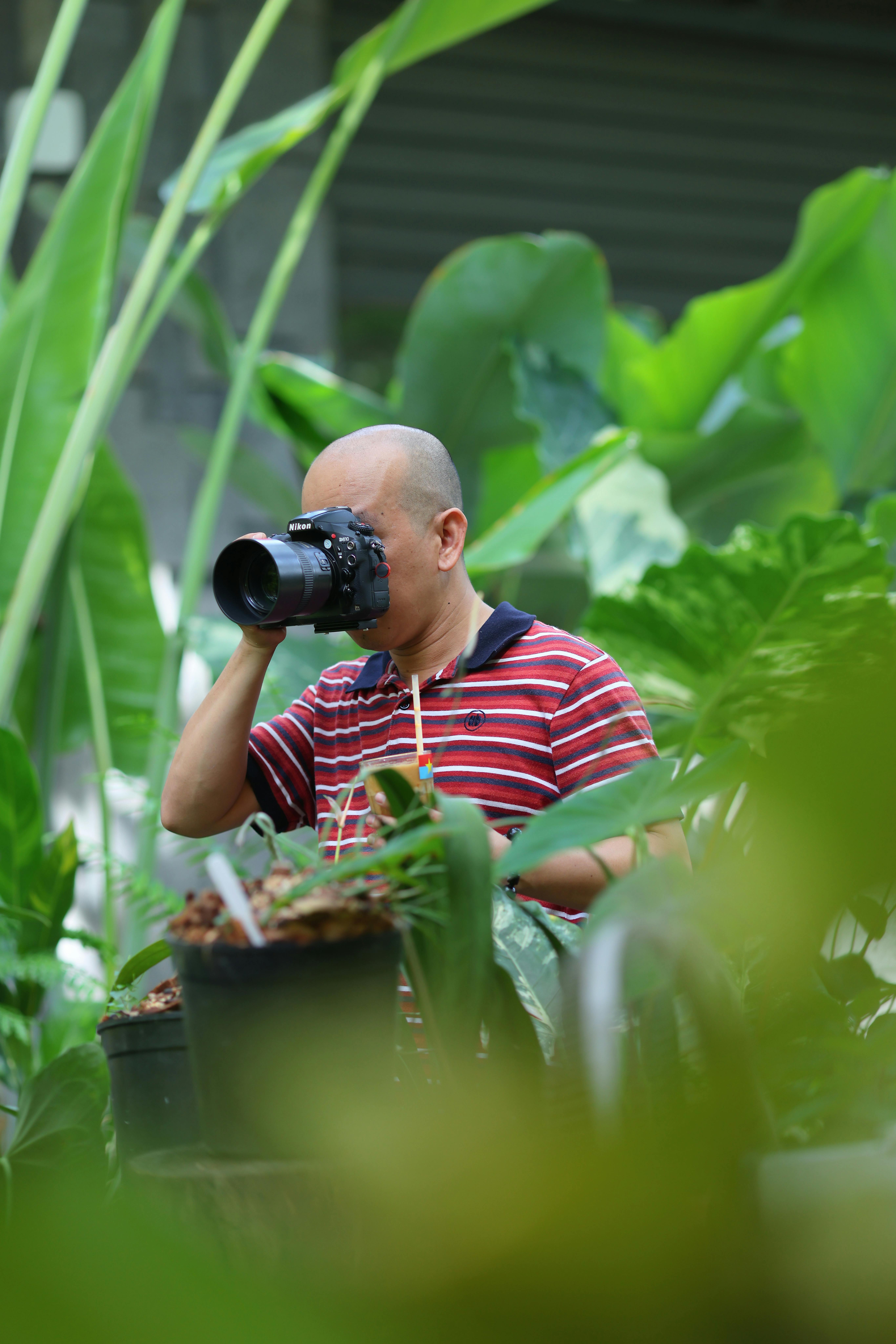 His Passion For Creativity Photos, Download The BEST Free His Passion ...