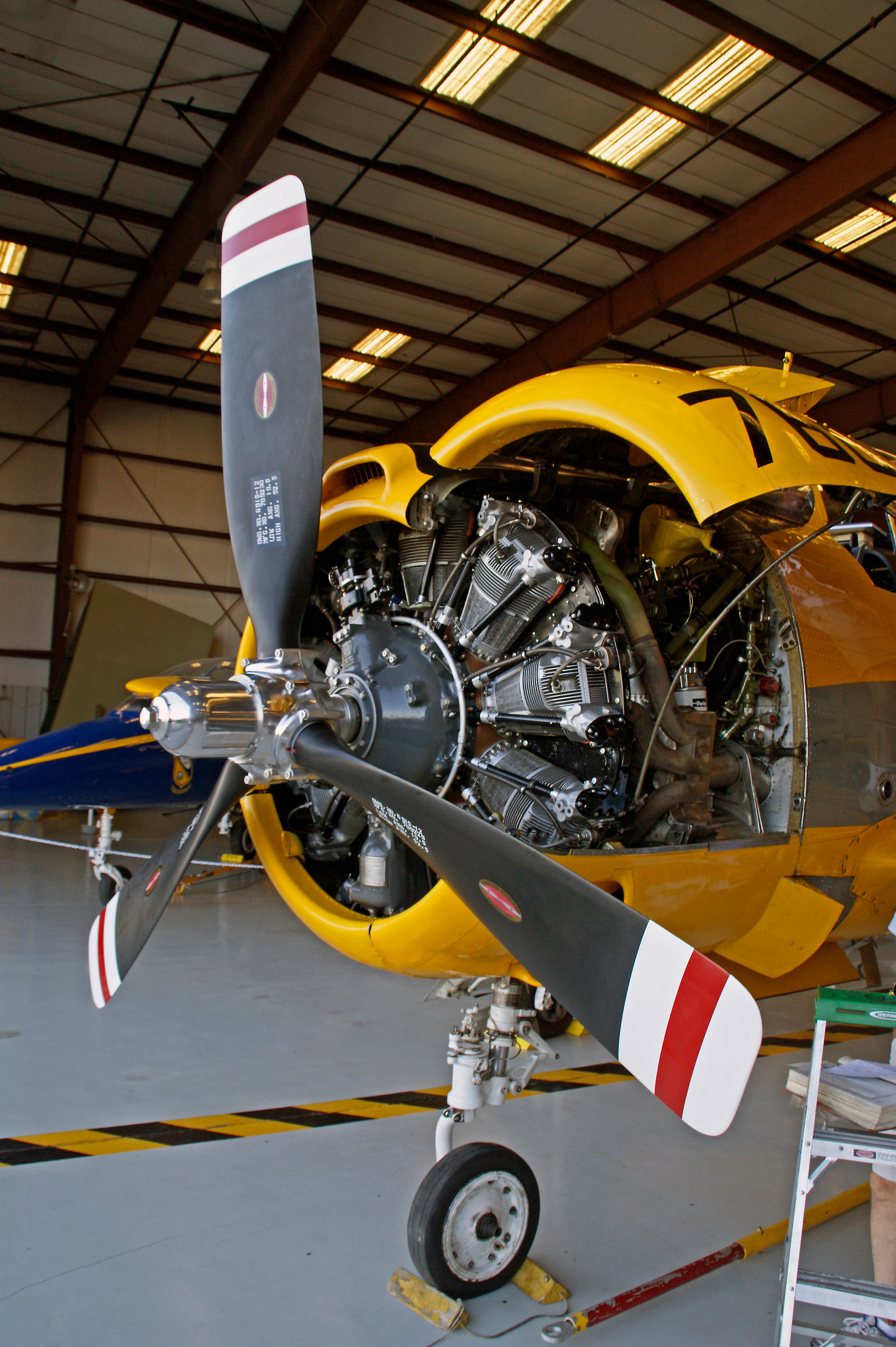 Classic Aircraft with Exposed Radial Engine in Hangar · Free Stock Photo