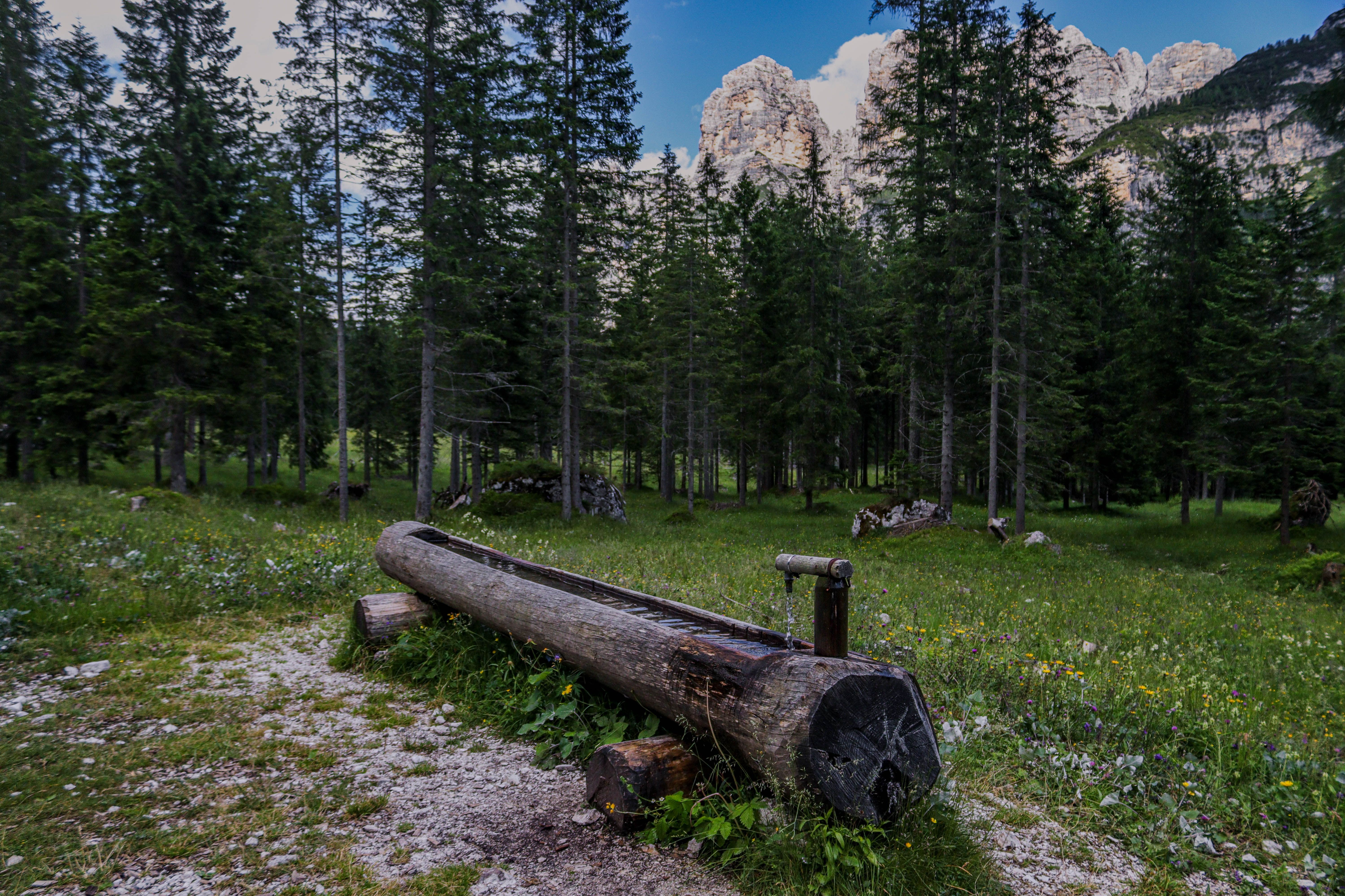 Jpeg Log In Icons Photos, Download The BEST Free Jpeg Log In Icons ...