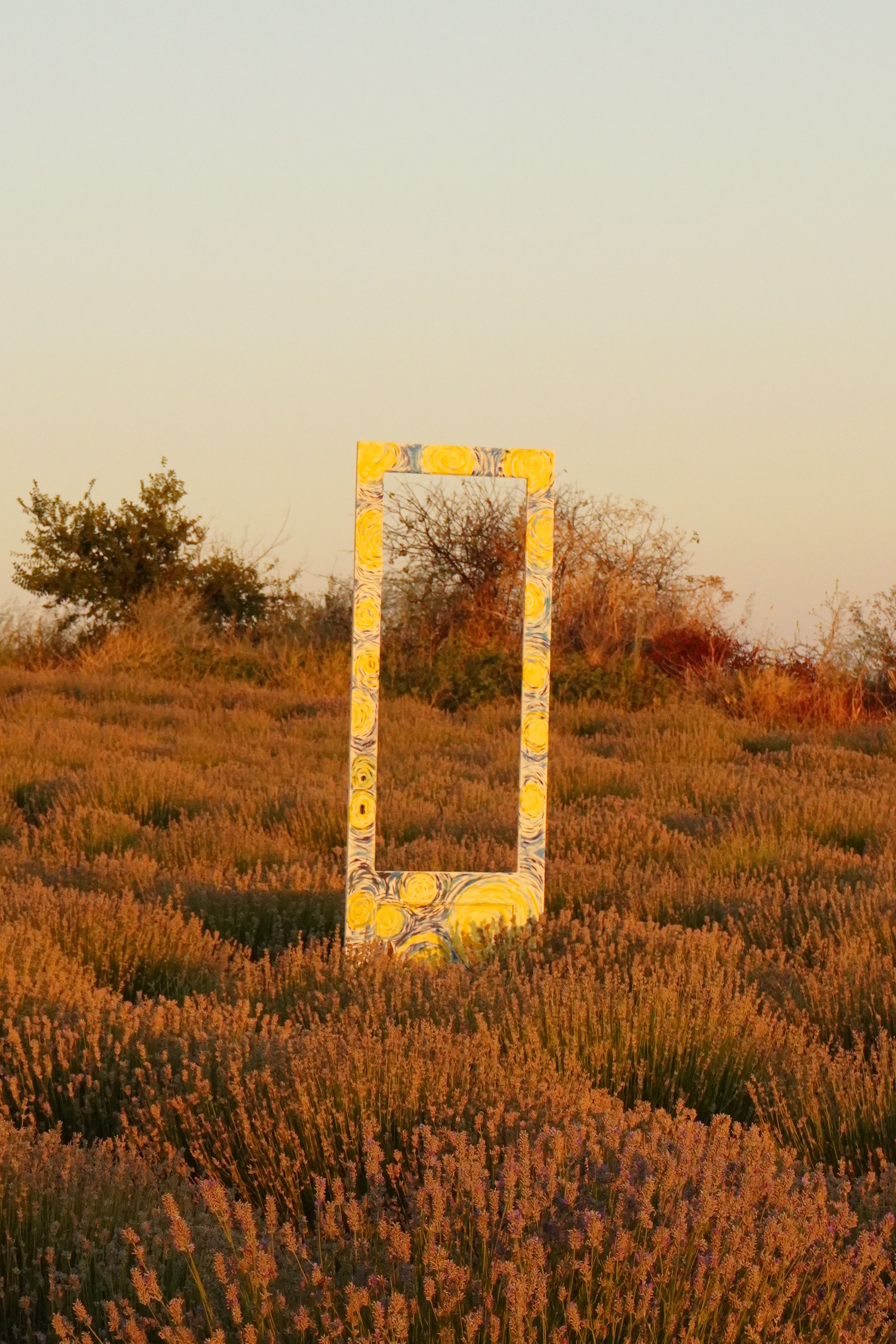 Artistic Frame in Field During Golden Hour · Free Stock Photo