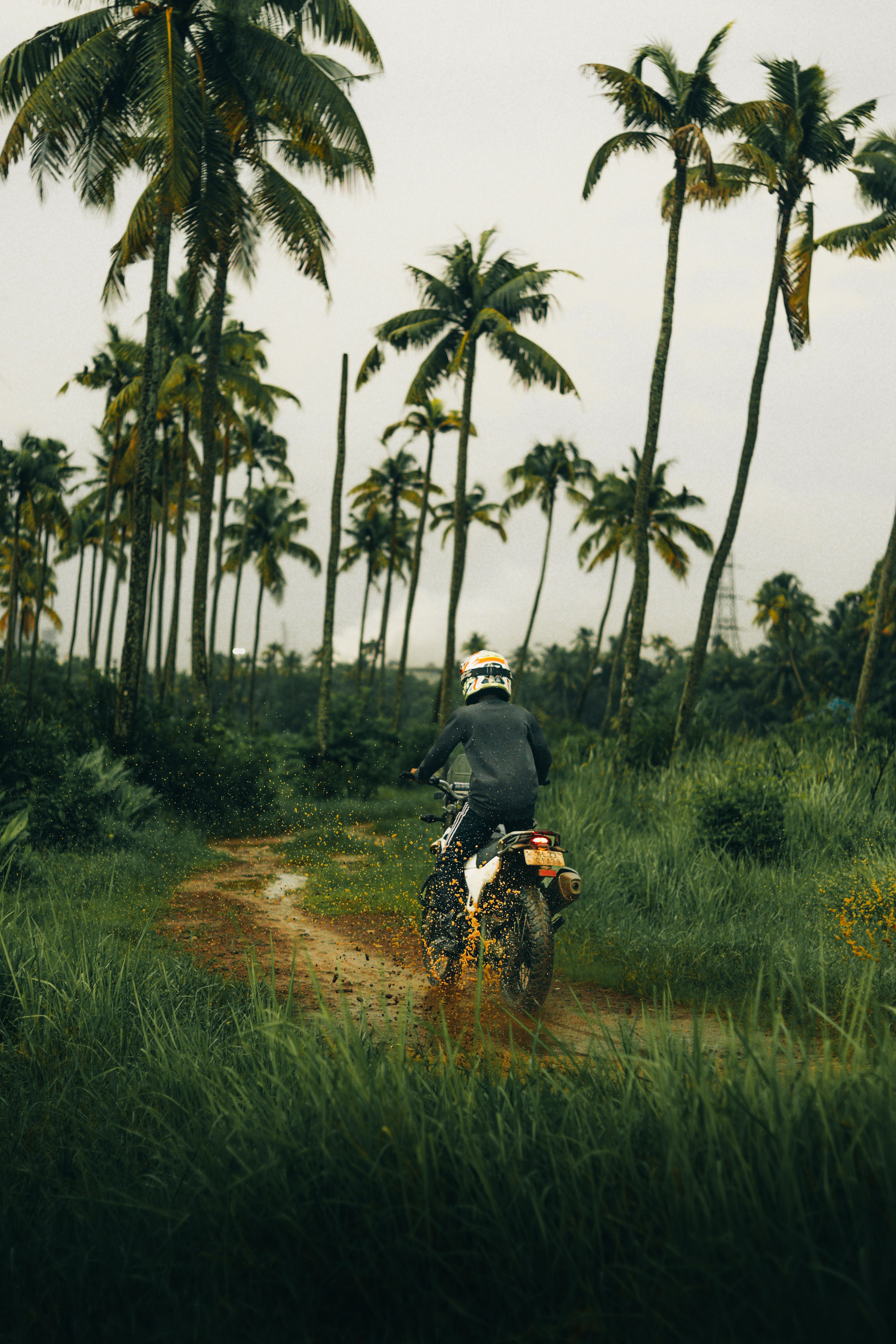 Rider Figen Photos, Download The BEST Free Rider Figen Stock Photos ...