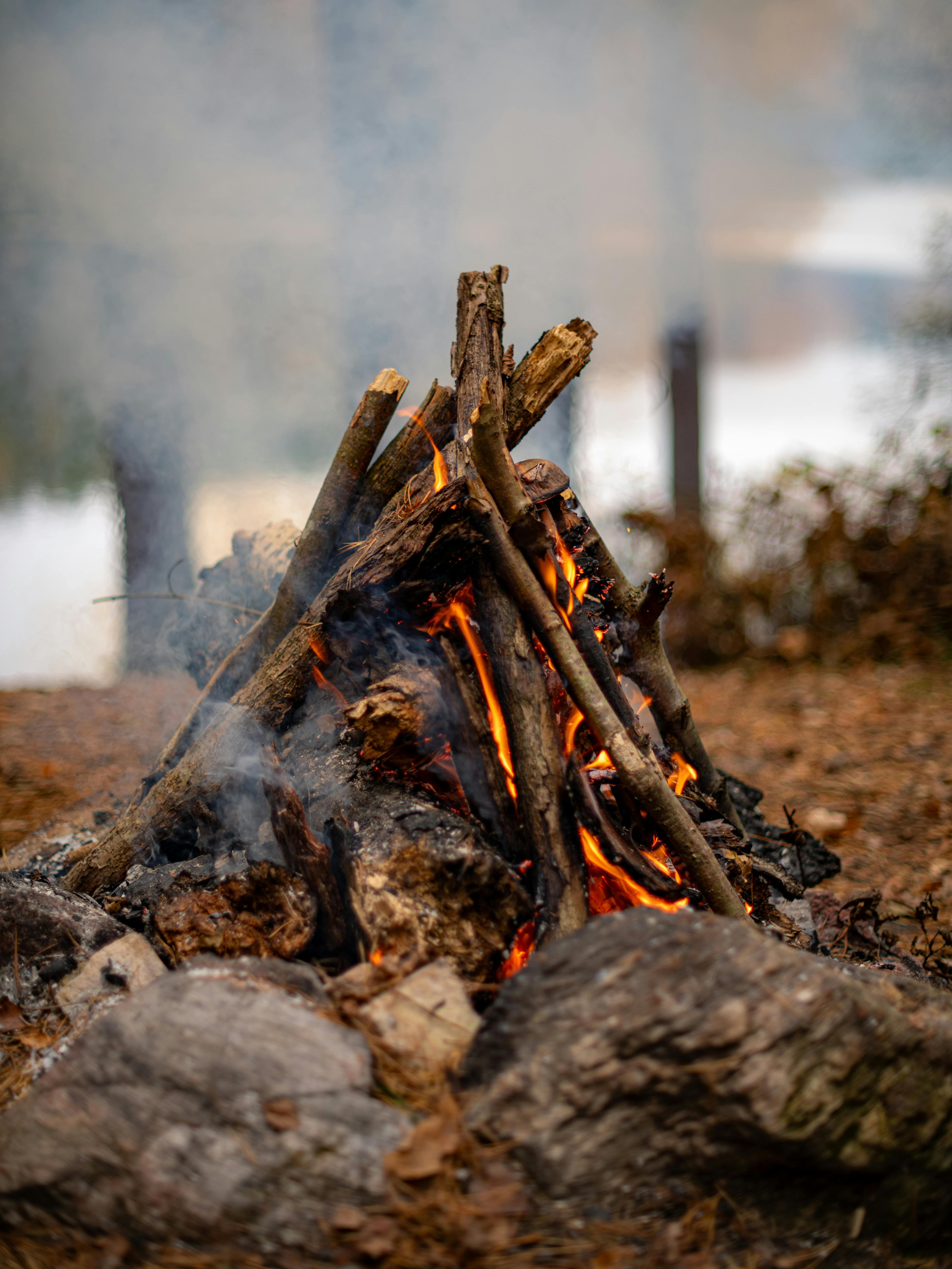 Vel Murugan Wallpapers Photos, Download The BEST Free Vel Murugan ...