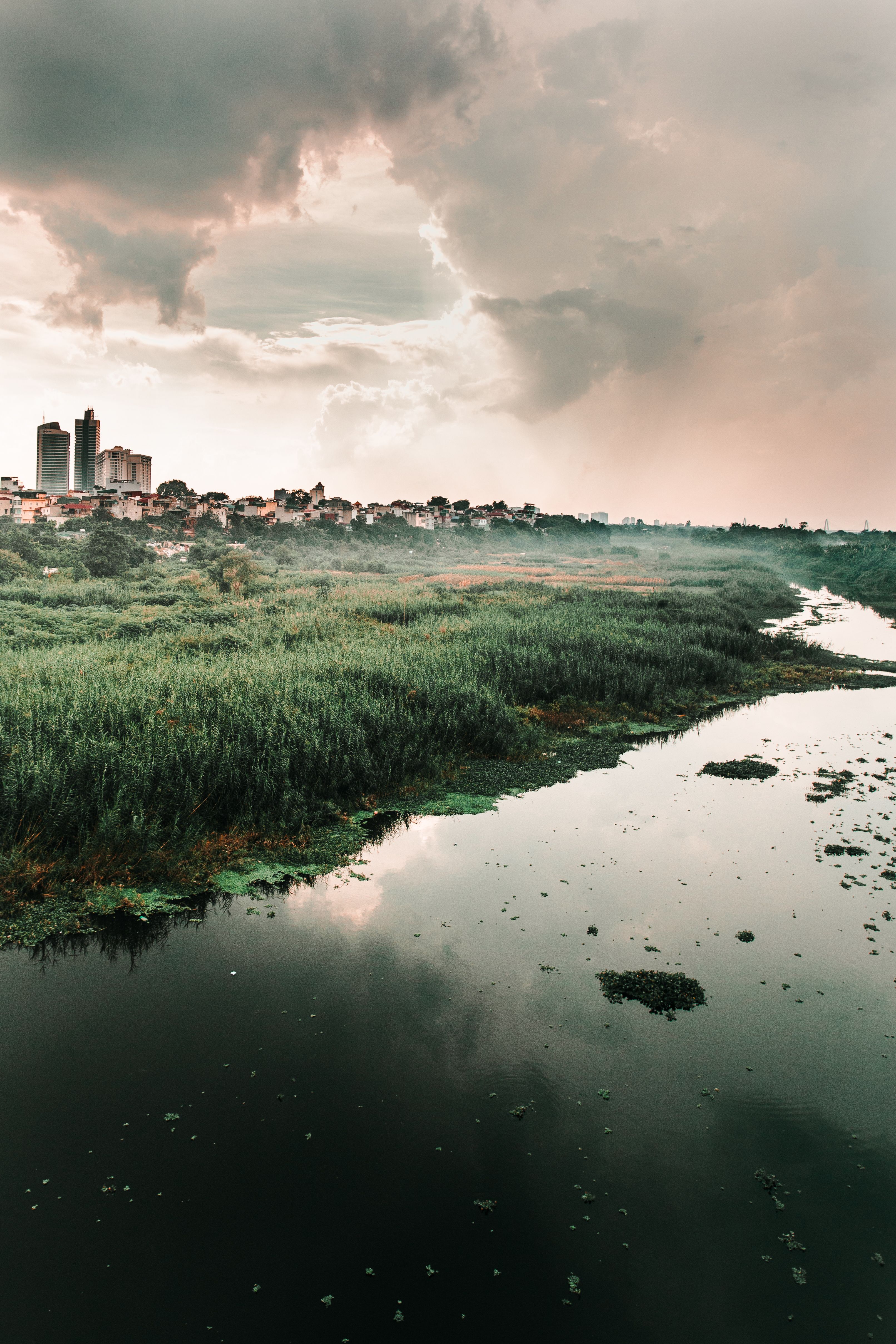Photo of Wetlands · Free Stock Photo