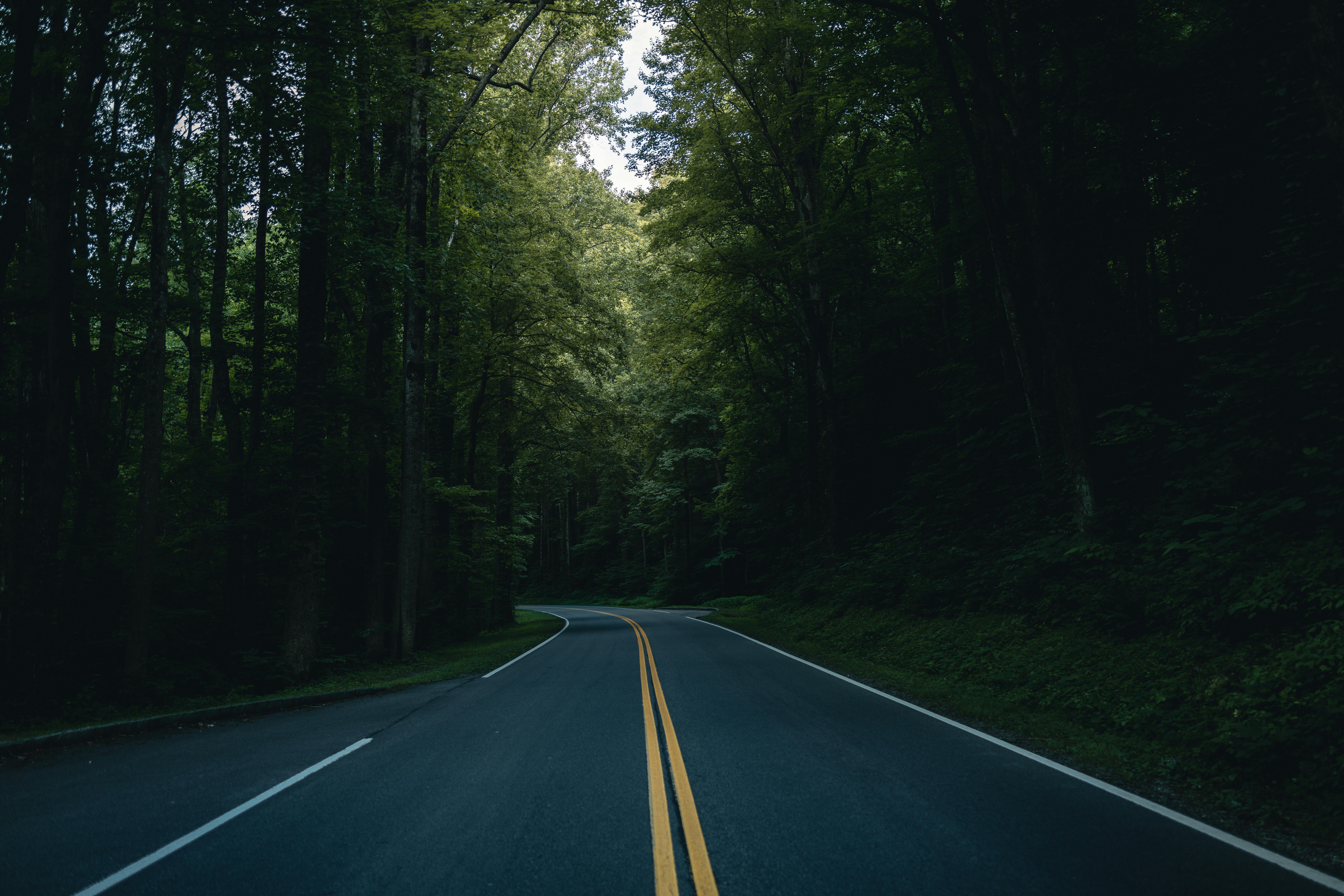 Photo Of An American Town Parade Photos, Download The BEST Free Photo ...