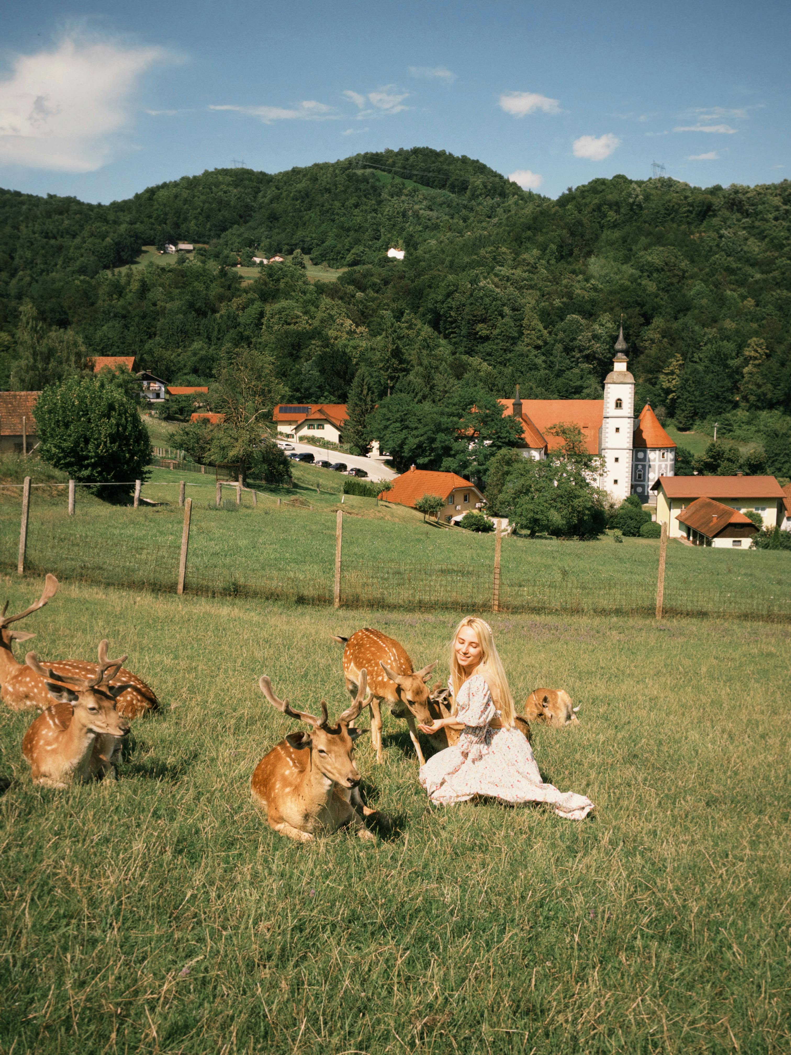 Woman+Beaver Photos, Download The BEST Free Woman+Beaver Stock Photos ...