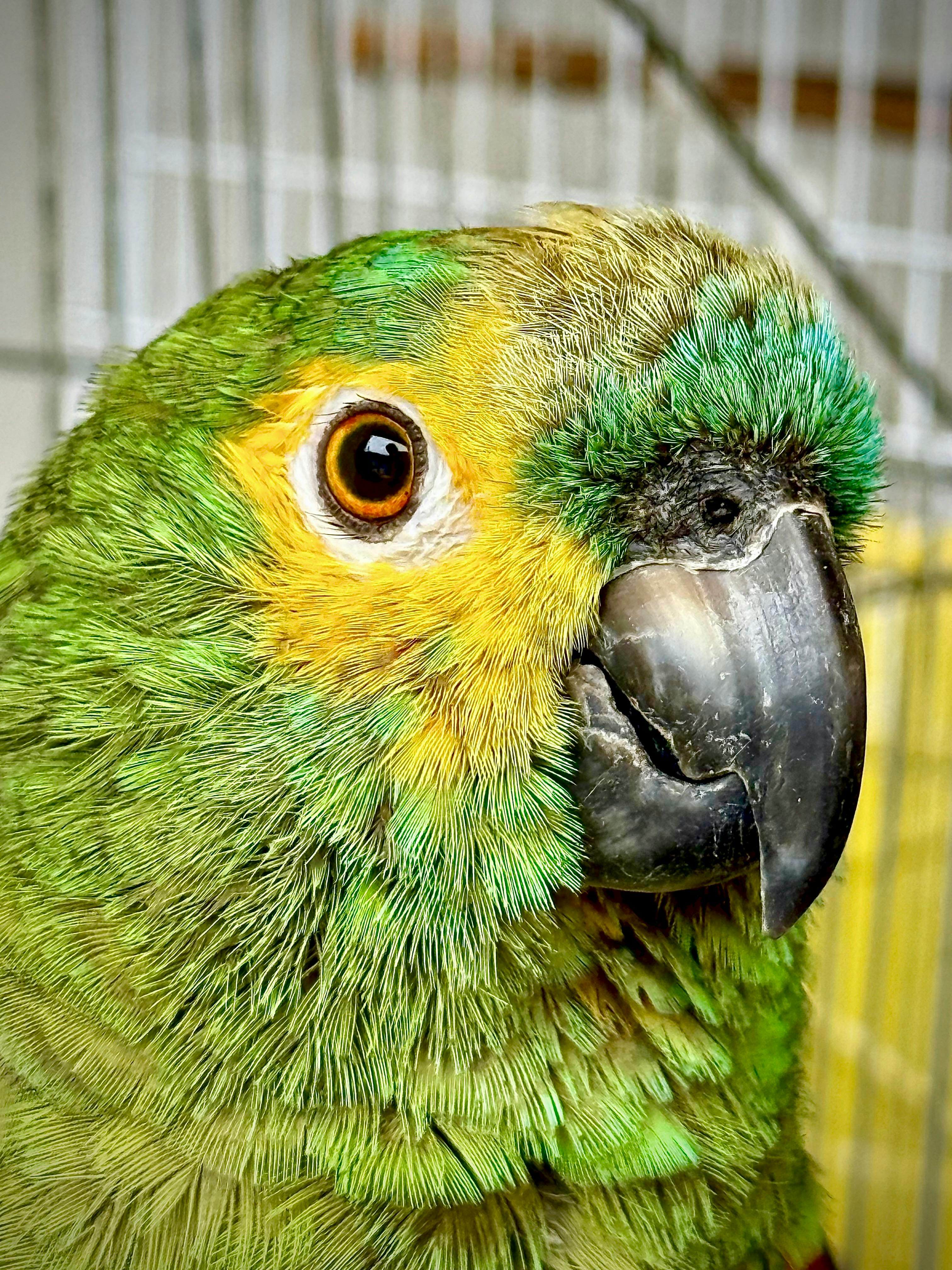 5mb Photo Photos, Download The BEST Free 5mb Photo Stock Photos & HD Images