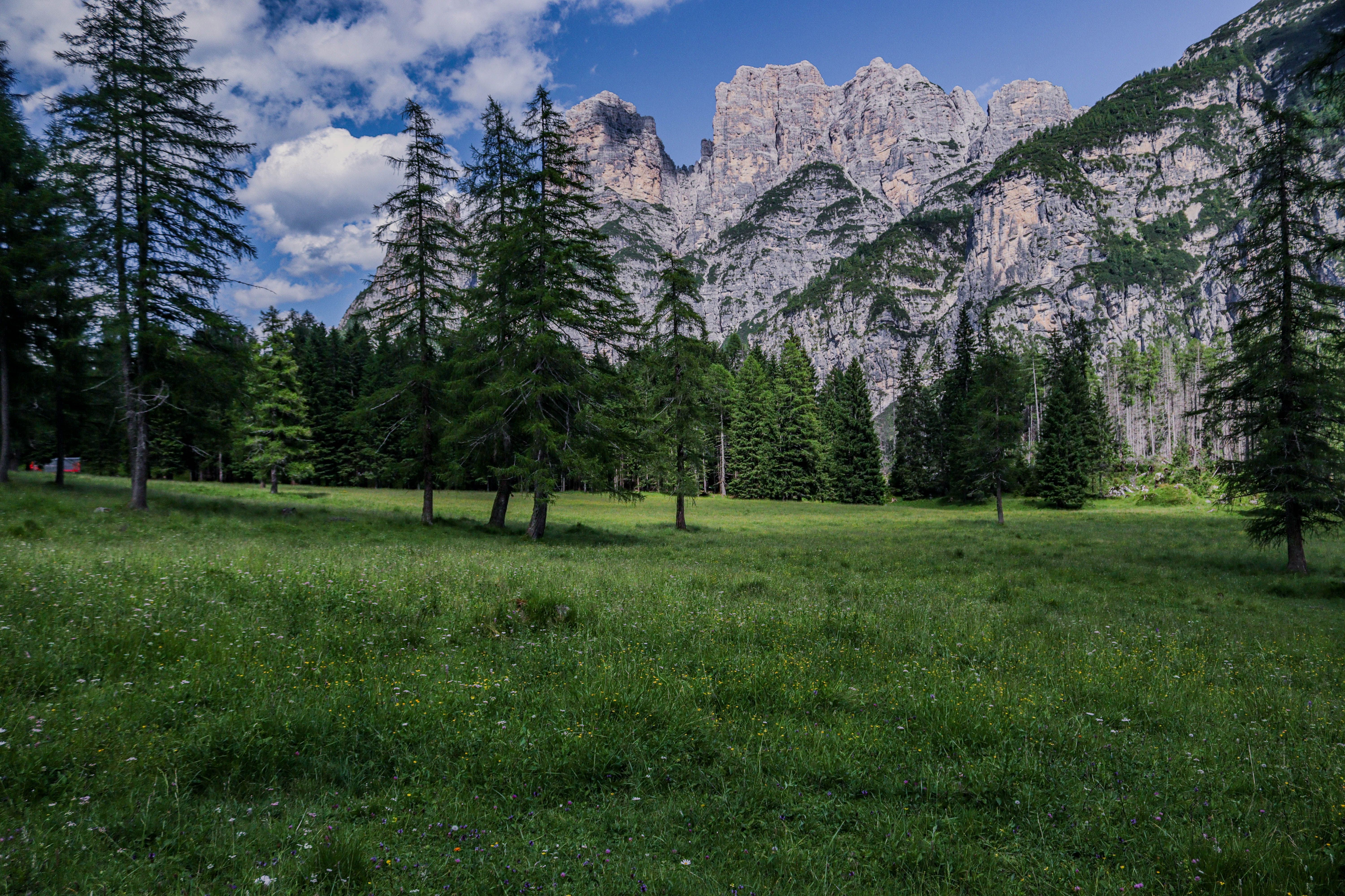 Scenic Alpine Meadow with Majestic Mountain View · Free Stock Photo