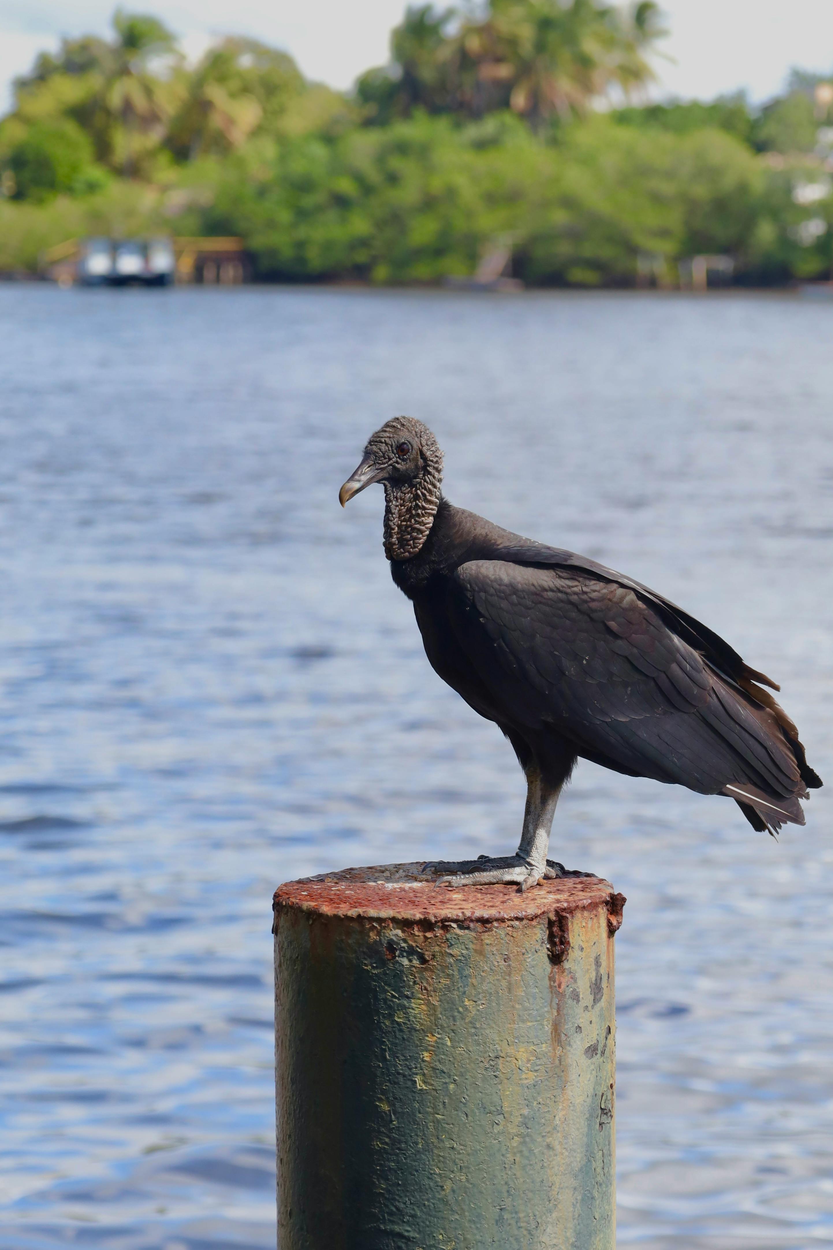 Barish Photo Photos, Download The BEST Free Barish Photo Stock Photos ...