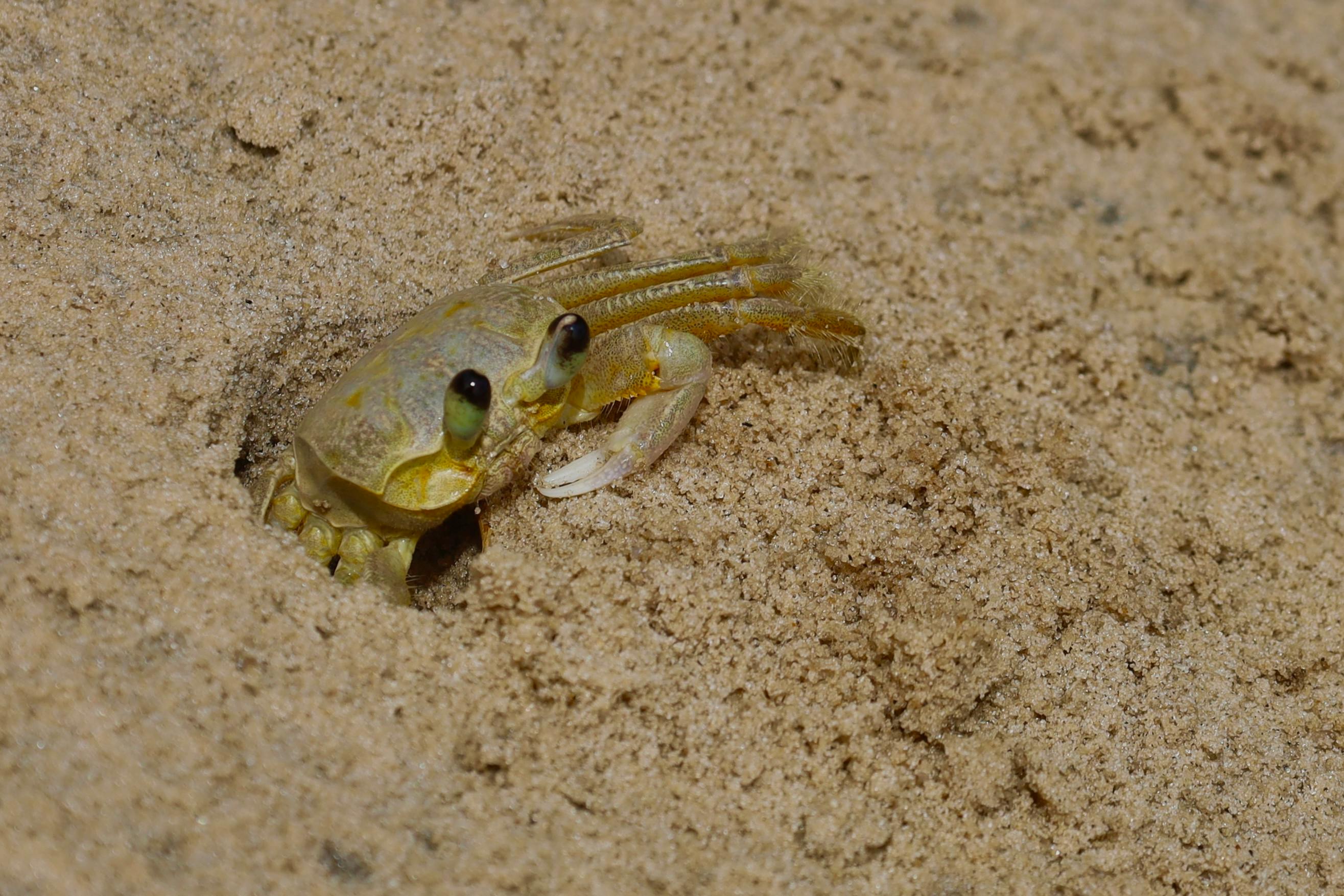 Ghost+Busty Photos, Download The BEST Free Ghost+Busty Stock Photos ...