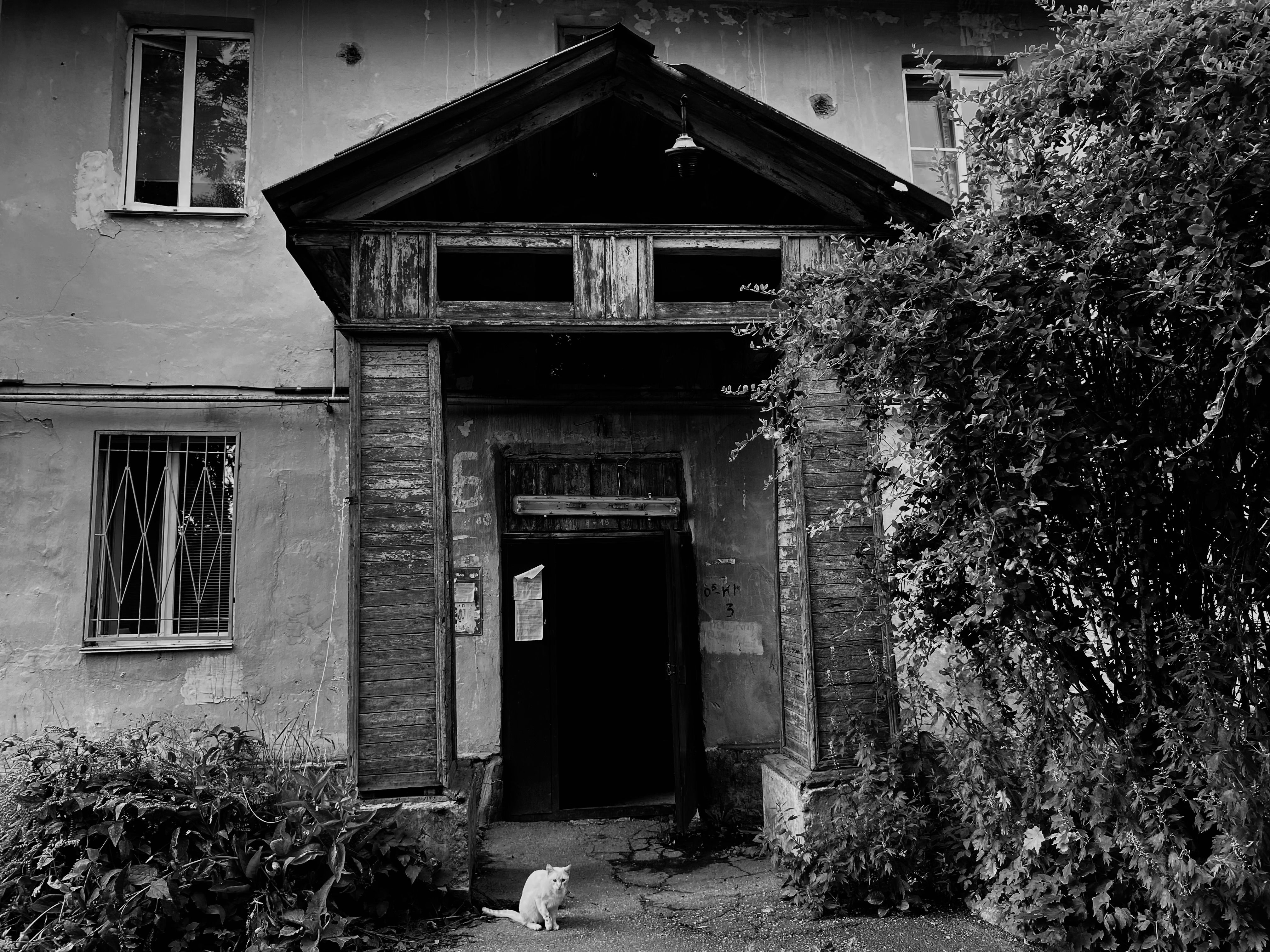 Haunting Photos, Download The BEST Free Haunting Stock Photos & HD Images