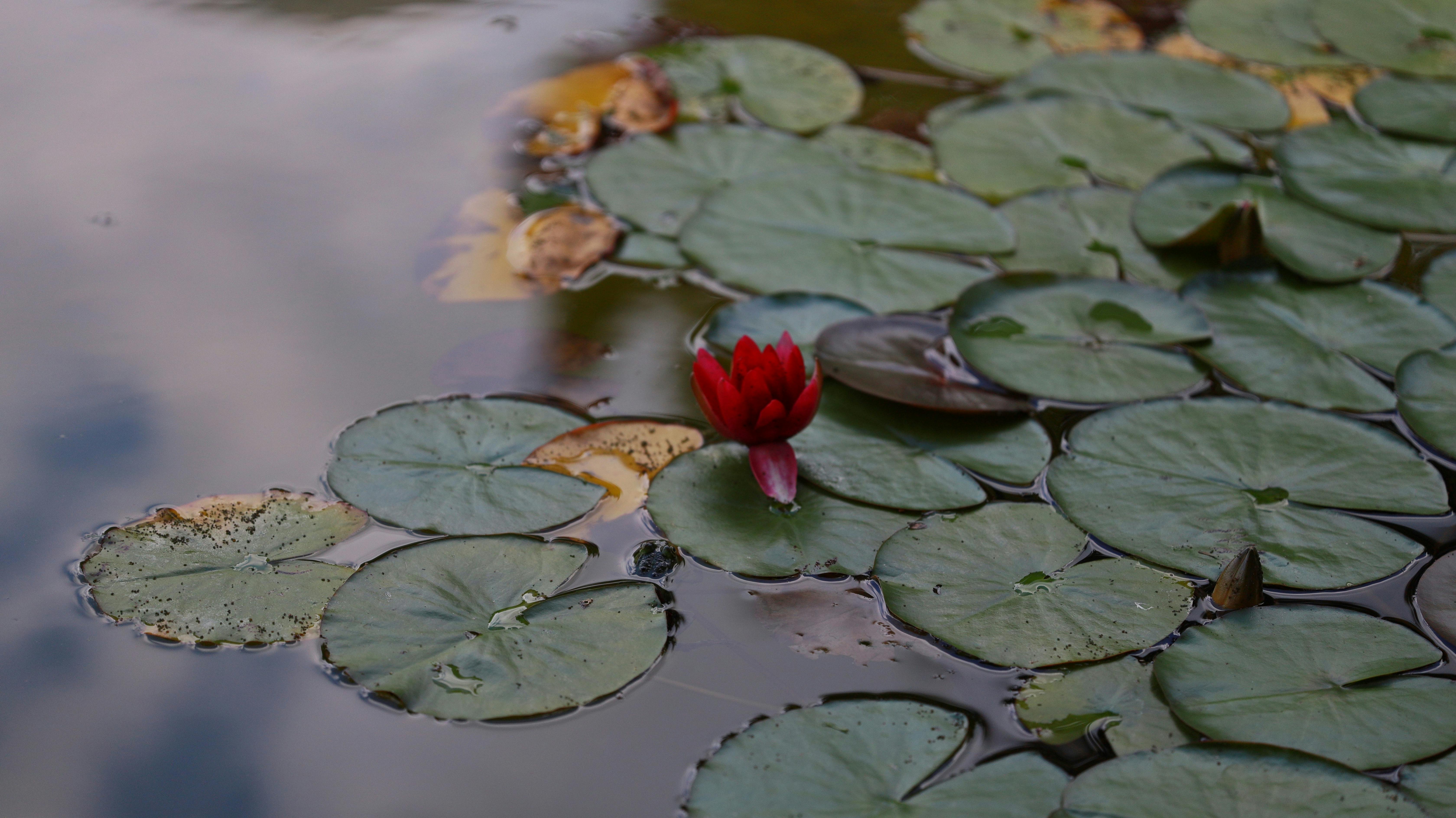 Calming Photos, Download The BEST Free Calming Stock Photos & HD Images