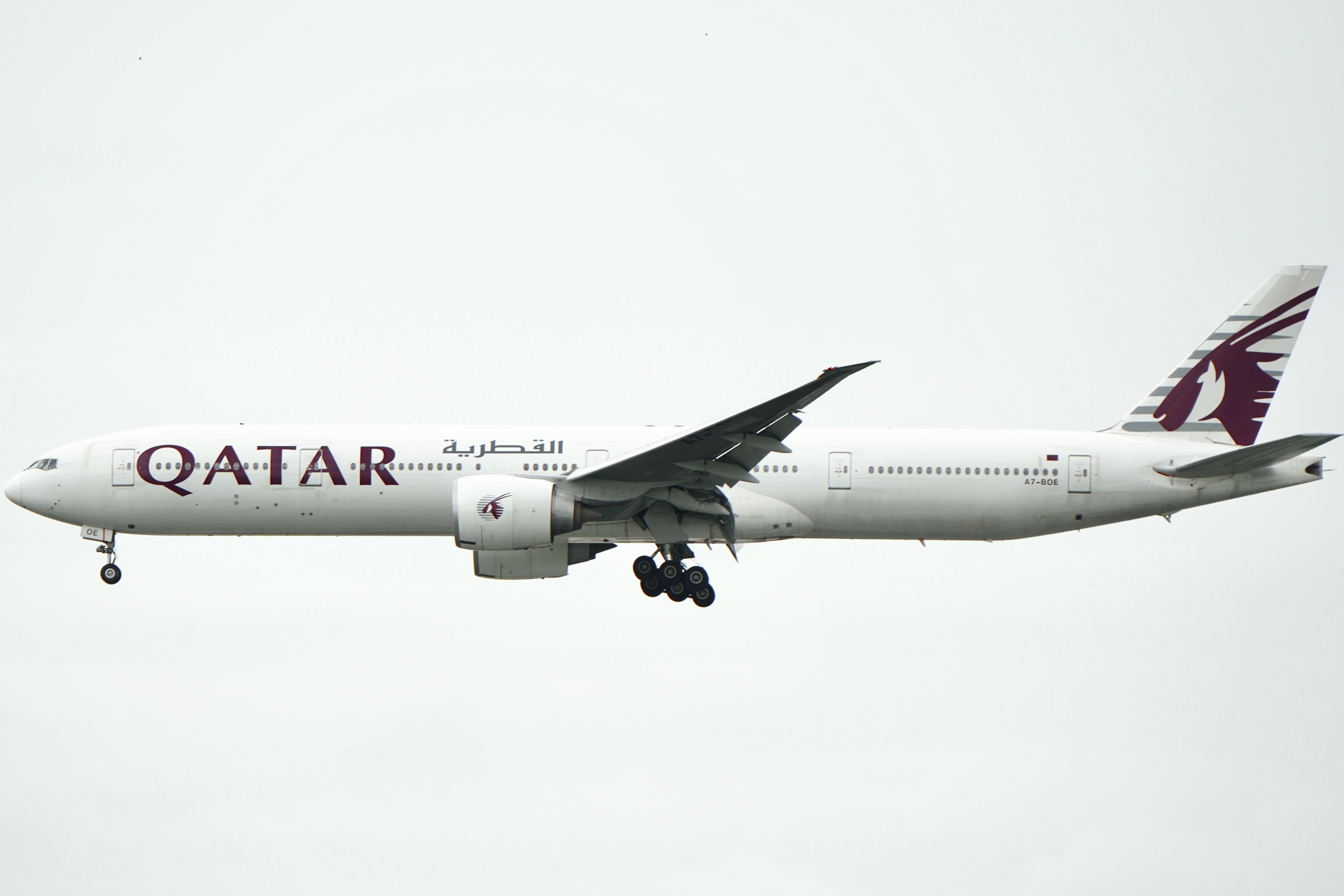 Qatar Airways Plane in Flight with Landing Gear Down · Free Stock Photo