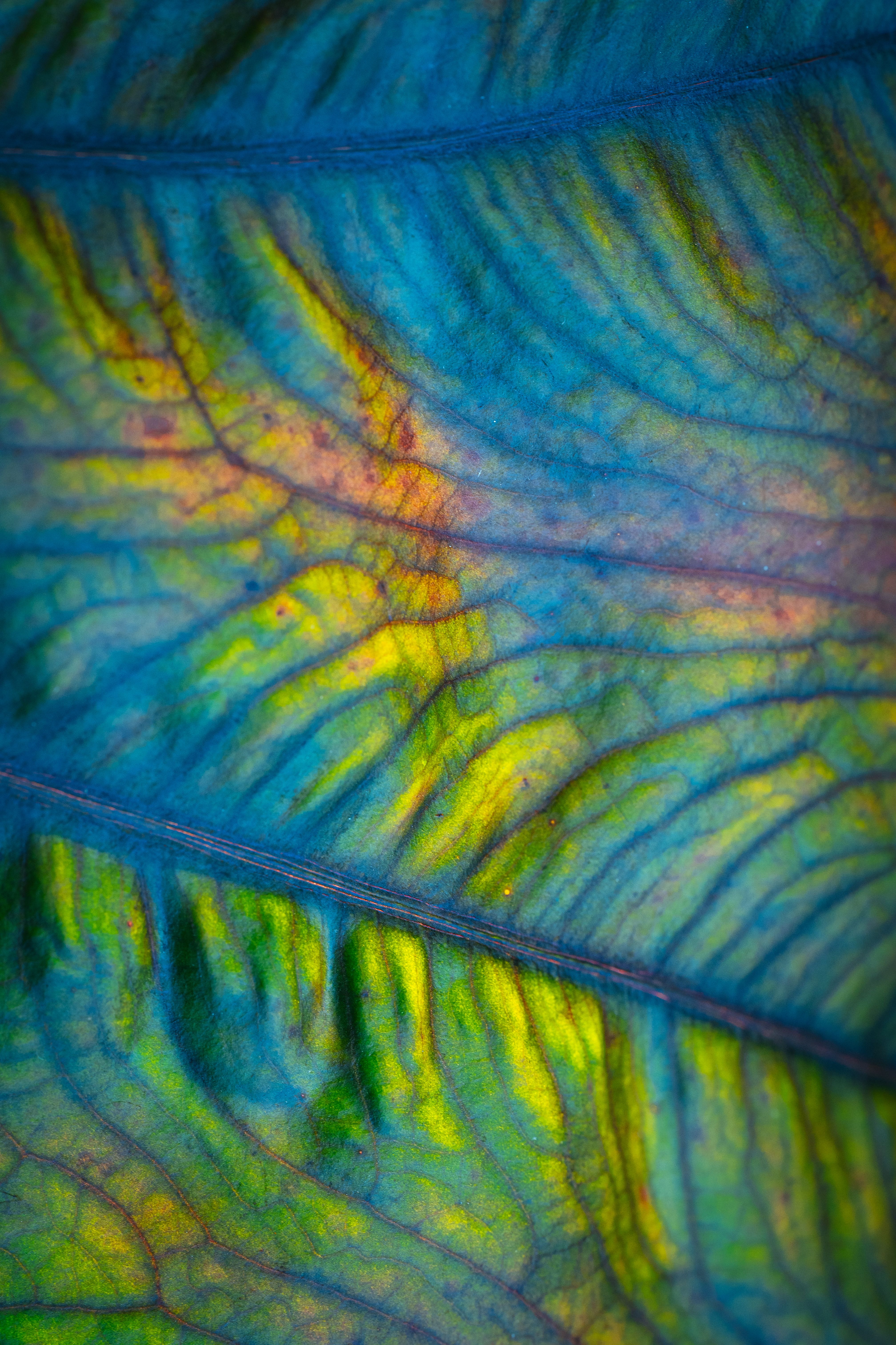 Shades Of Blue Nature Photos, Download The BEST Free Shades Of Blue ...