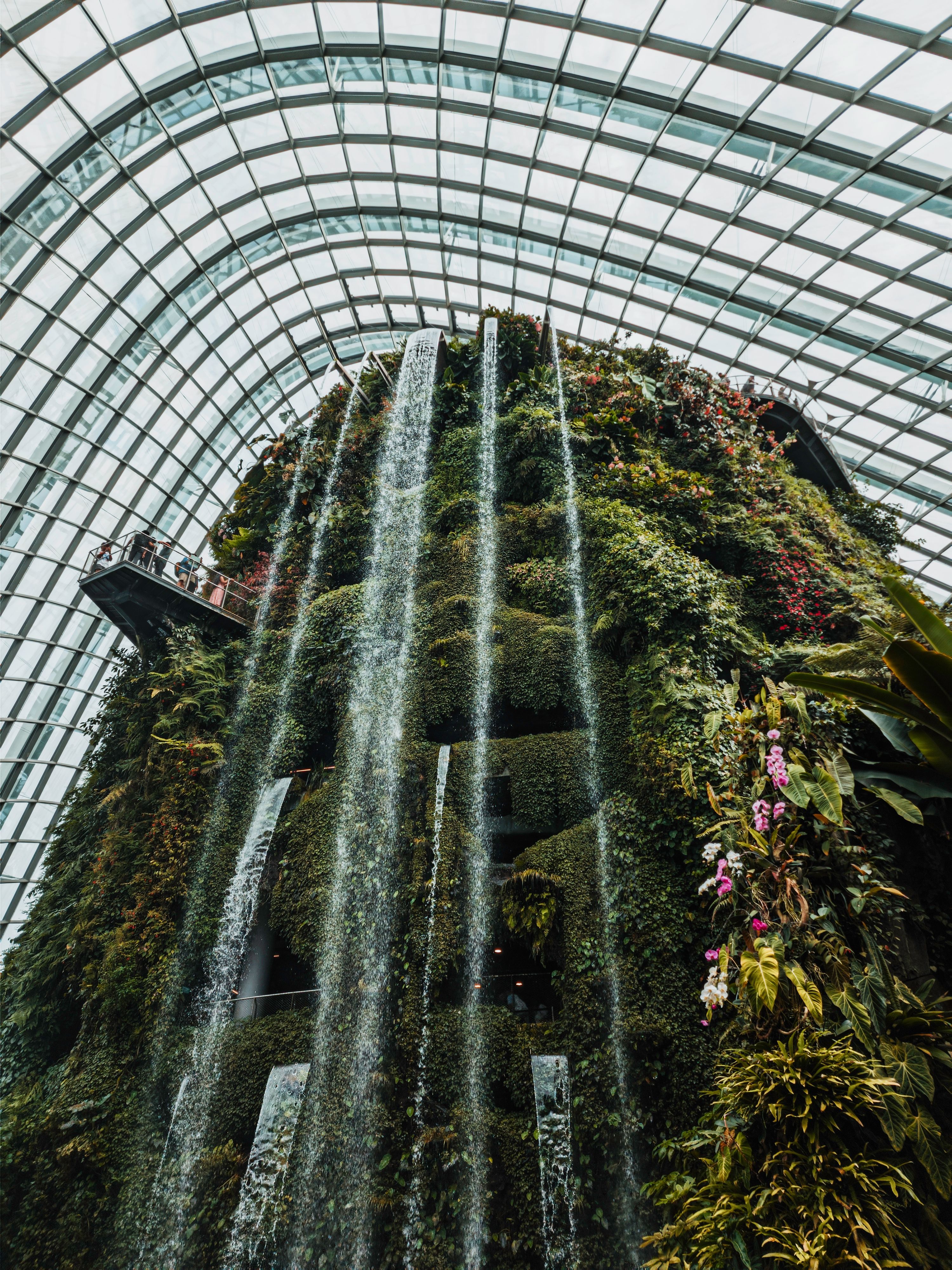 Indoor Waterfall with Lush Vertical Garden · Free Stock Photo