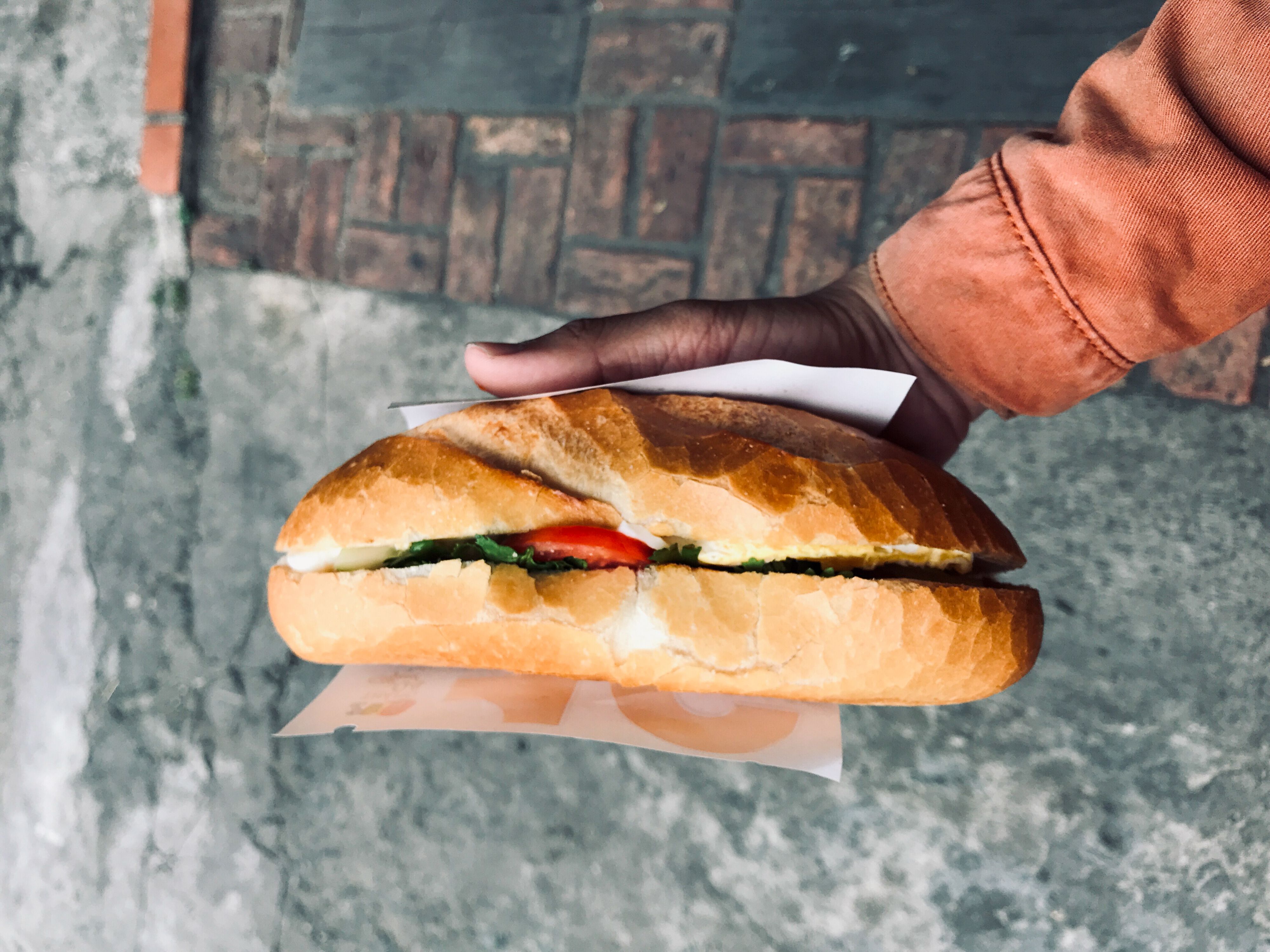 Delicious Vietnamese Banh Mi Sandwich in Hand · Free Stock Photo