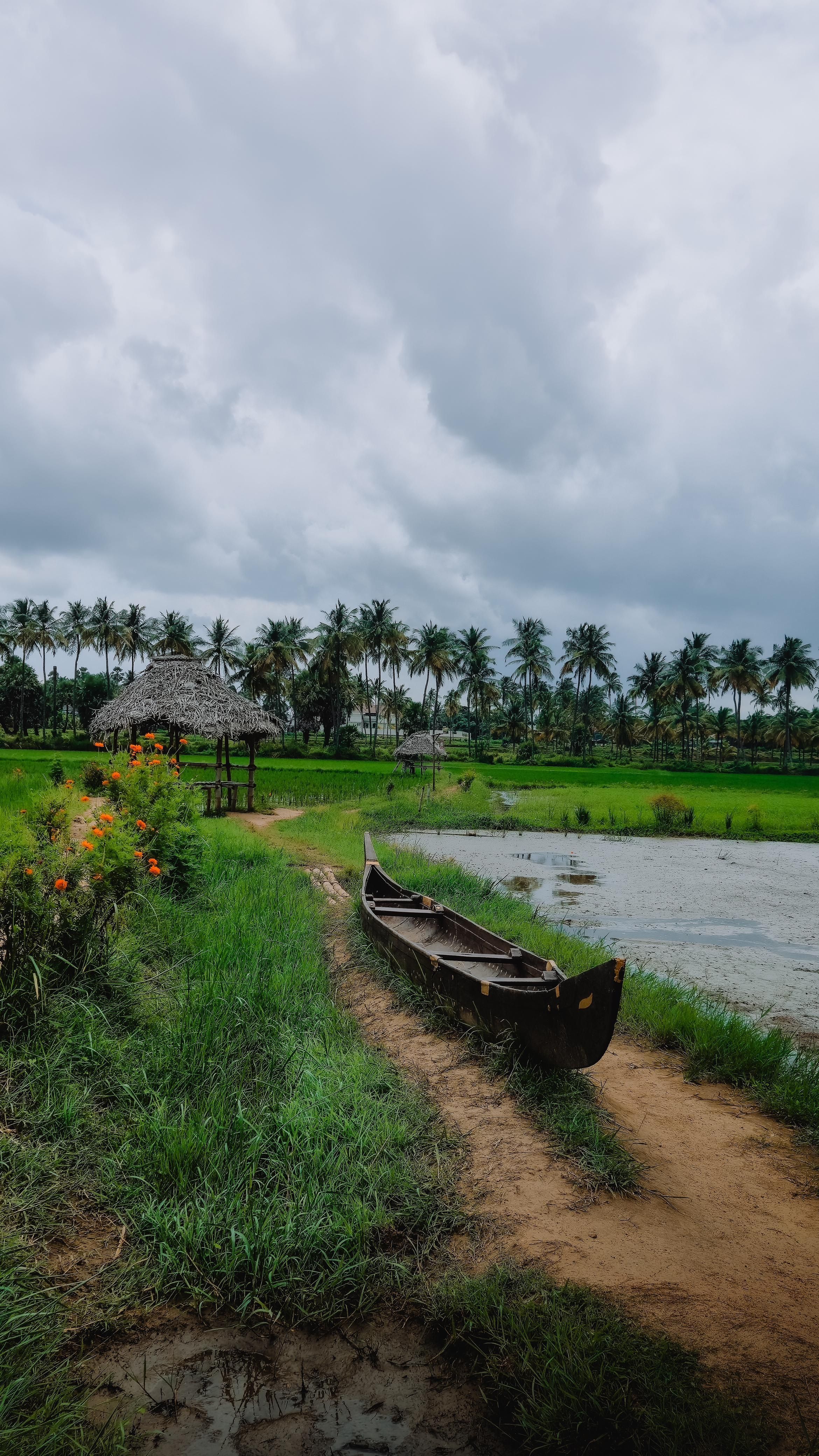 Kerala Onam Photos, Download The BEST Free Kerala Onam Stock Photos ...