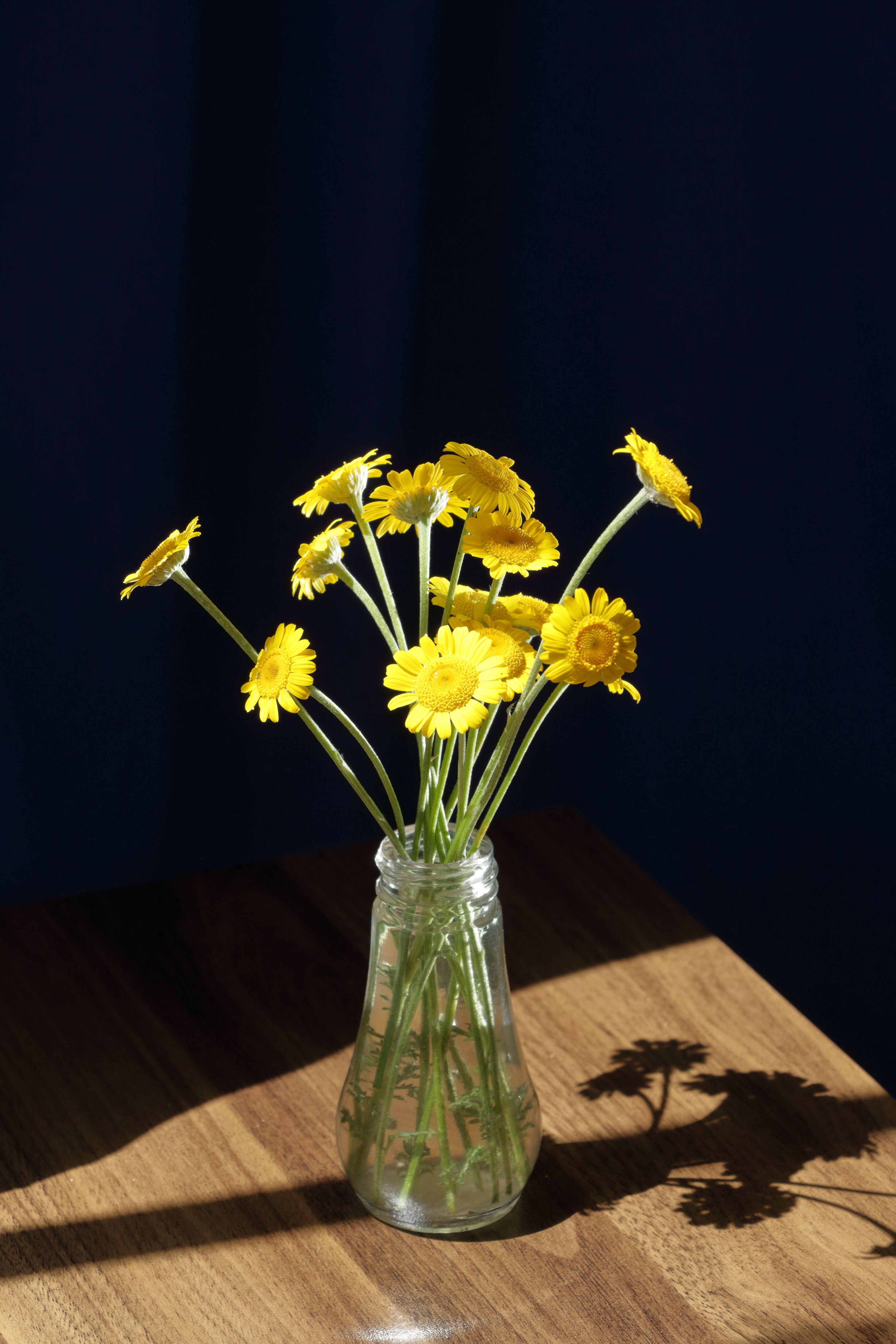 Vase Of Flowers Photos, Download The BEST Free Vase Of Flowers Stock ...
