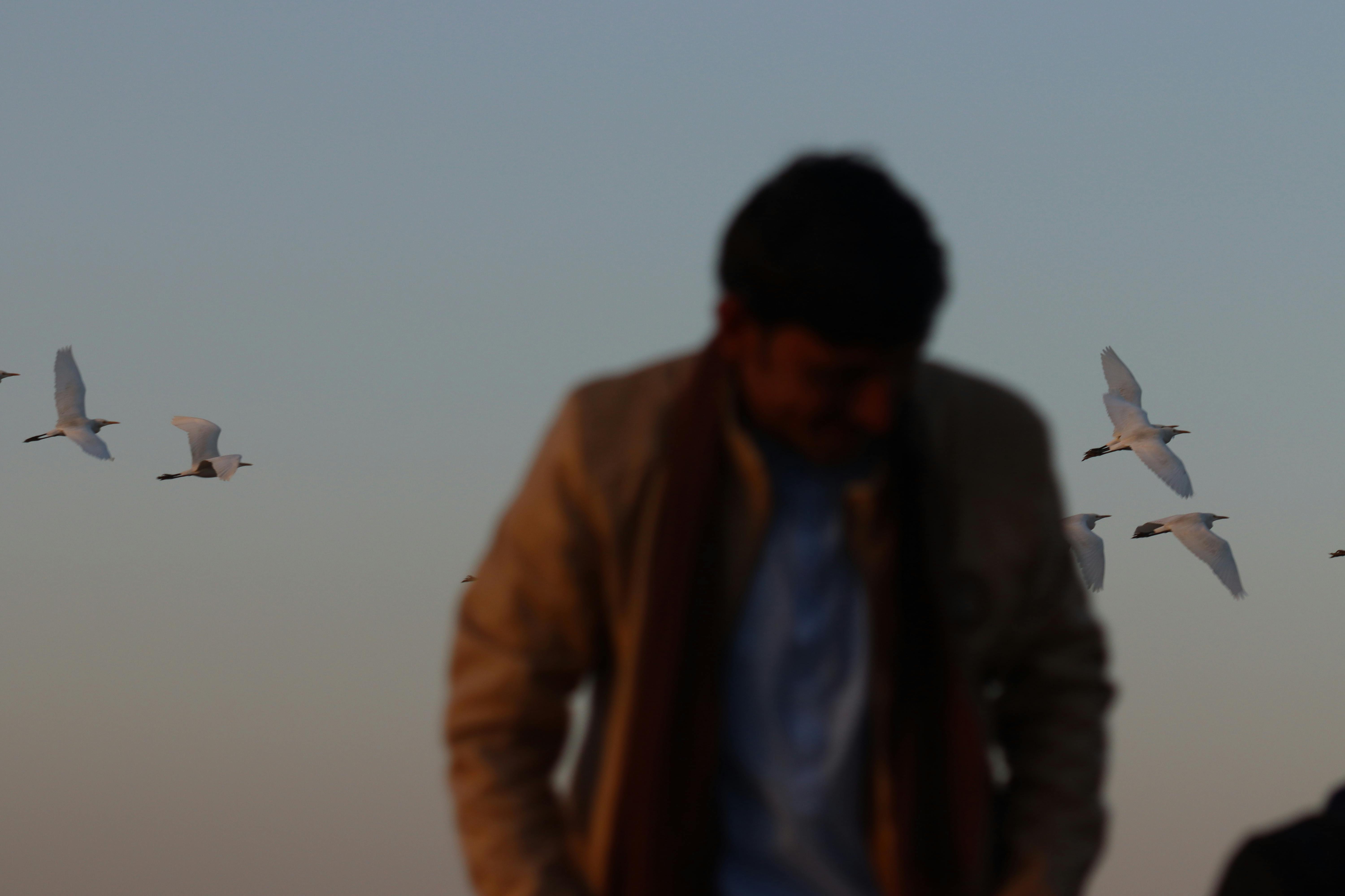 Man Pfp Photos, Download The BEST Free Man Pfp Stock Photos & HD Images