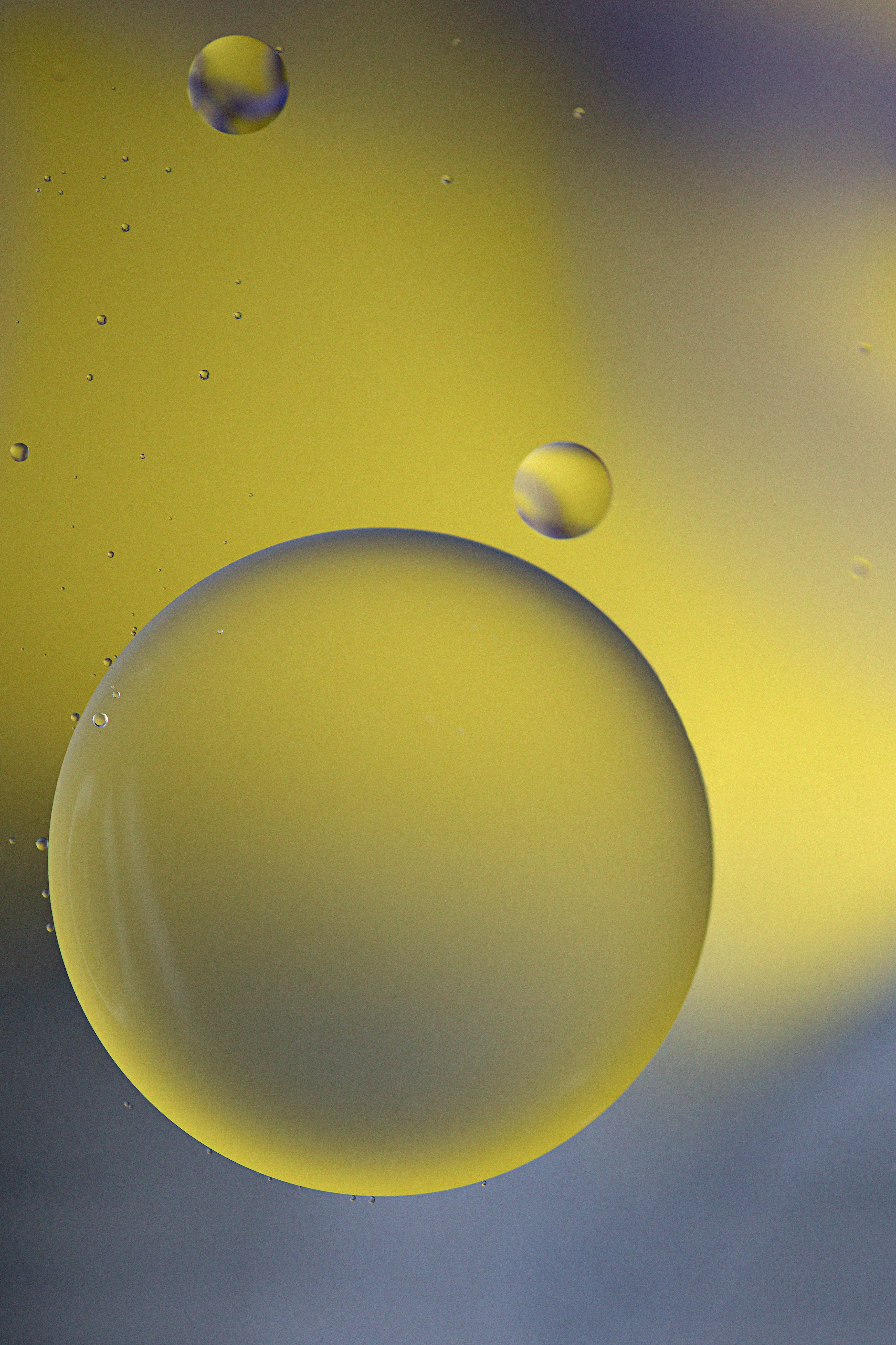 Roblox+Spawn+Point+Transparent+Png Photos, Download The BEST Free ...