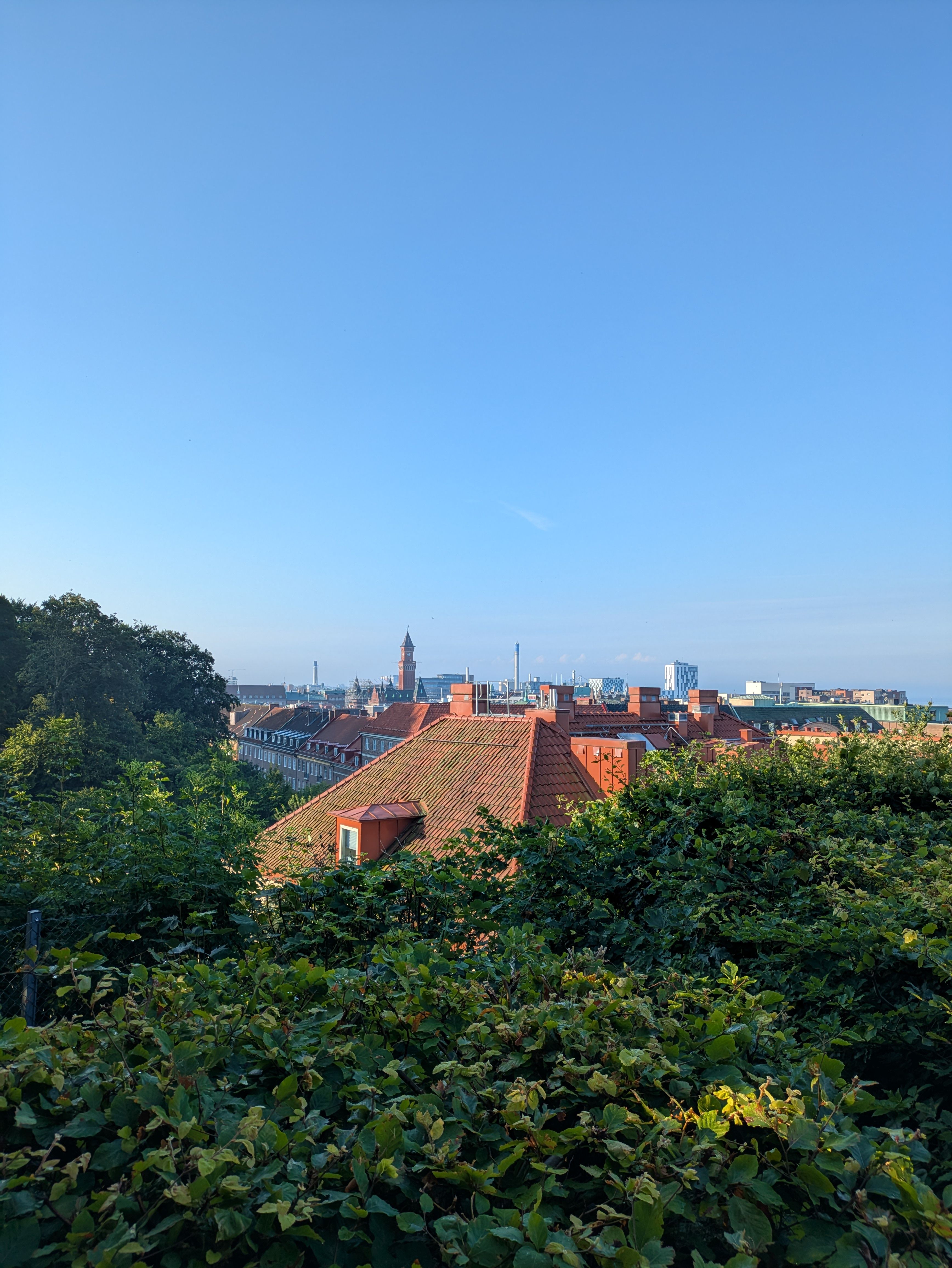 Scenic Rooftop View with Red Brick Buildings · Free Stock Photo