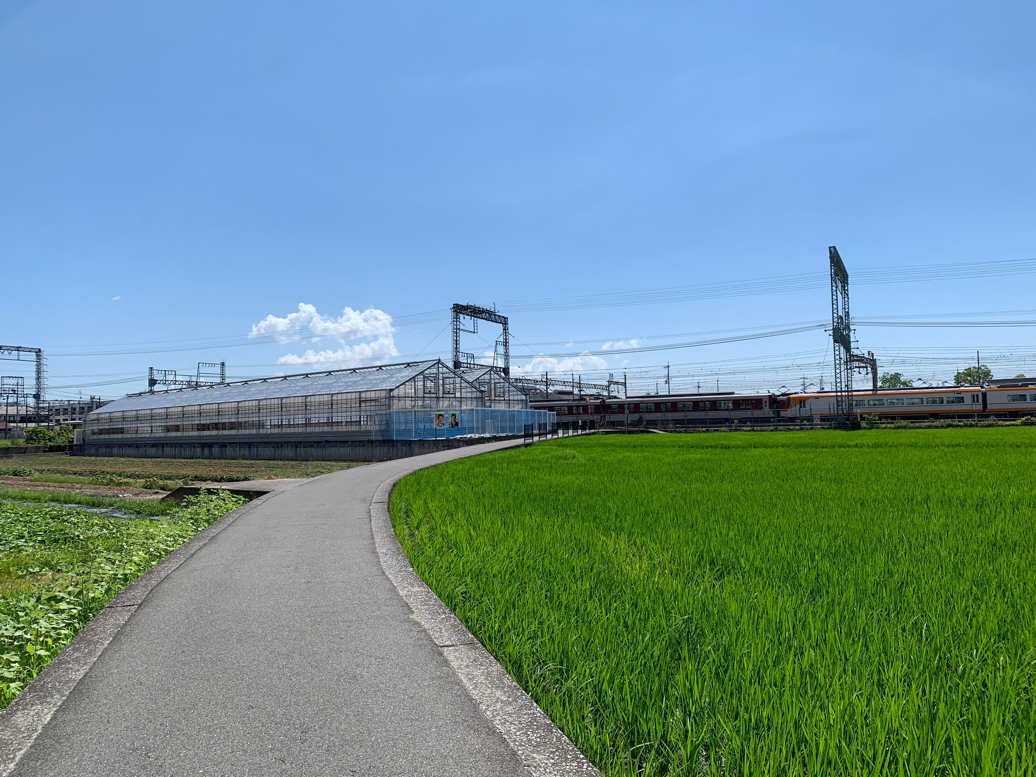 Scenic View of Greenhouse and Rice Field by Train Tracks · Free Stock Photo