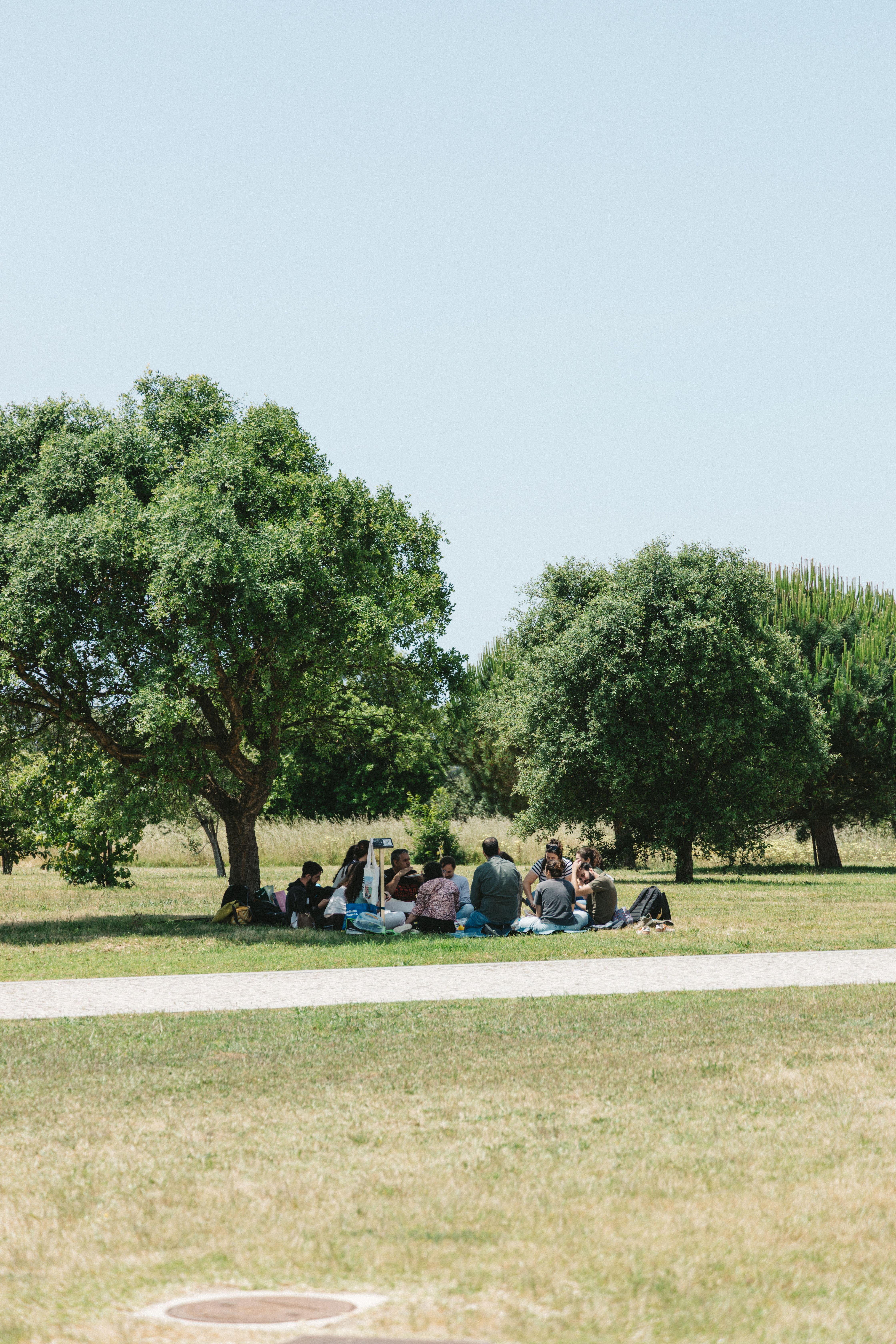 People Shade Tree Photos, Download The BEST Free People Shade Tree ...