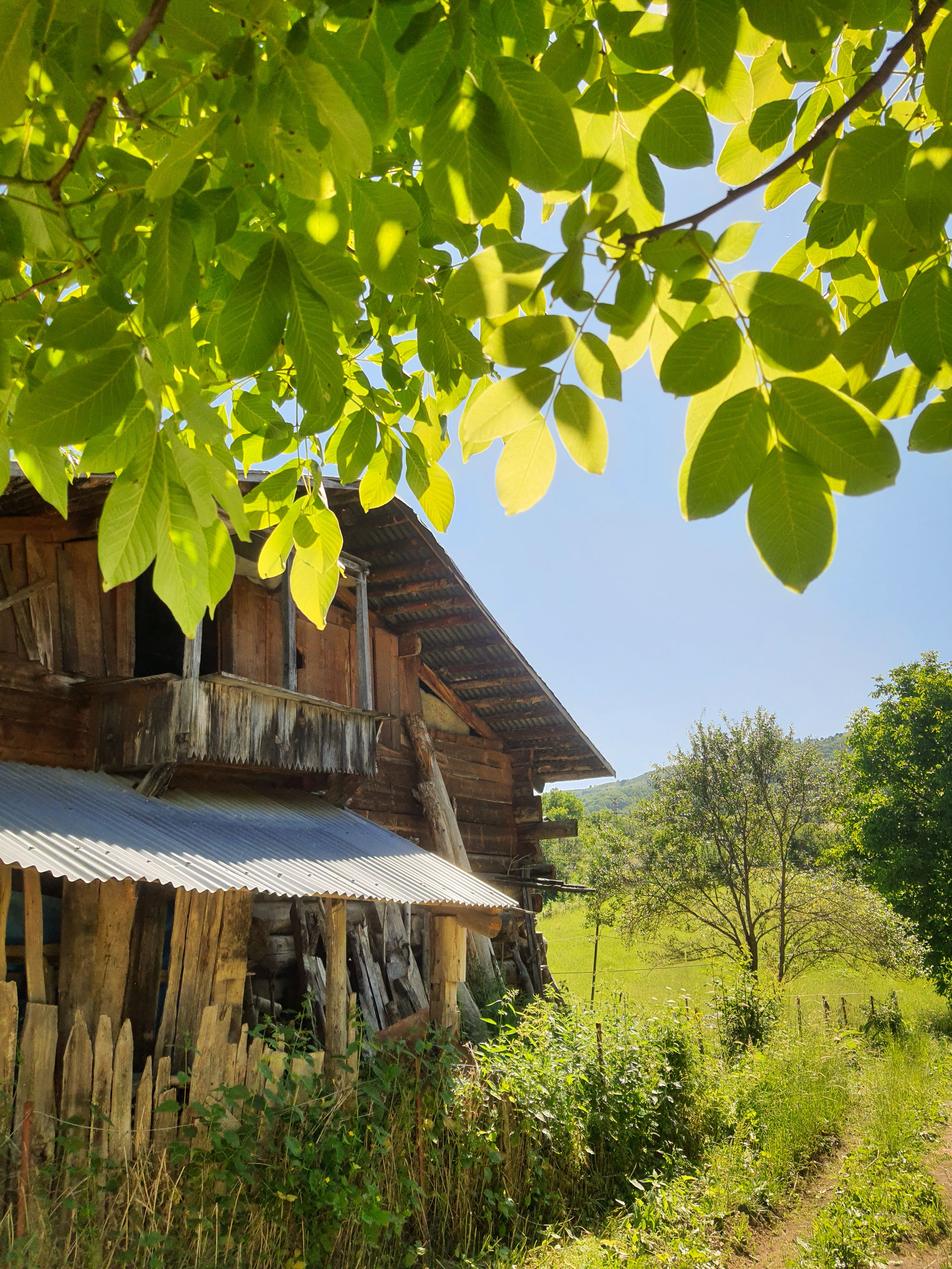 Rustic Wooden Barn in Verdant Landscape · Free Stock Photo