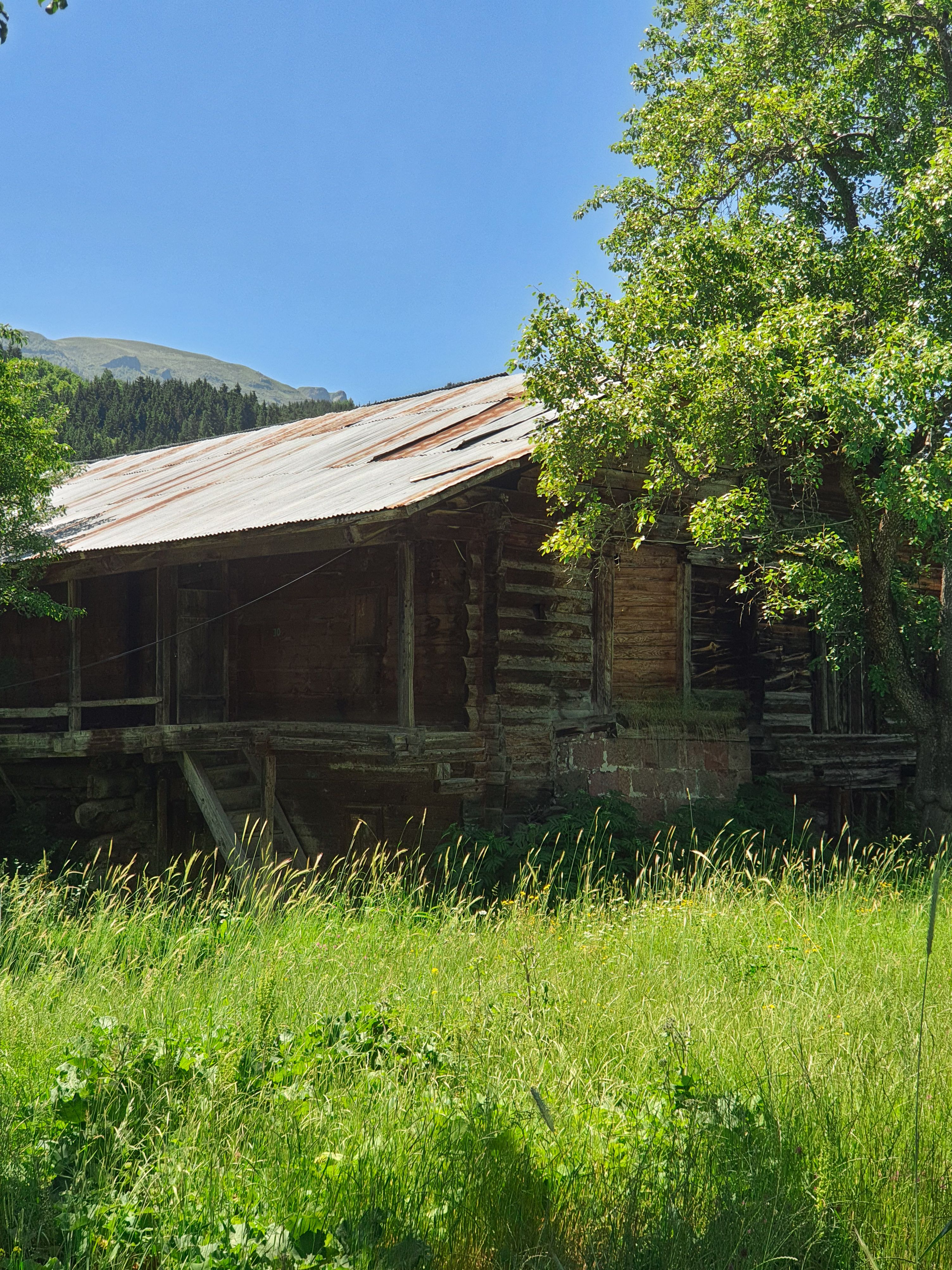 Rustic Abandoned Cabin in Lush Countryside · Free Stock Photo