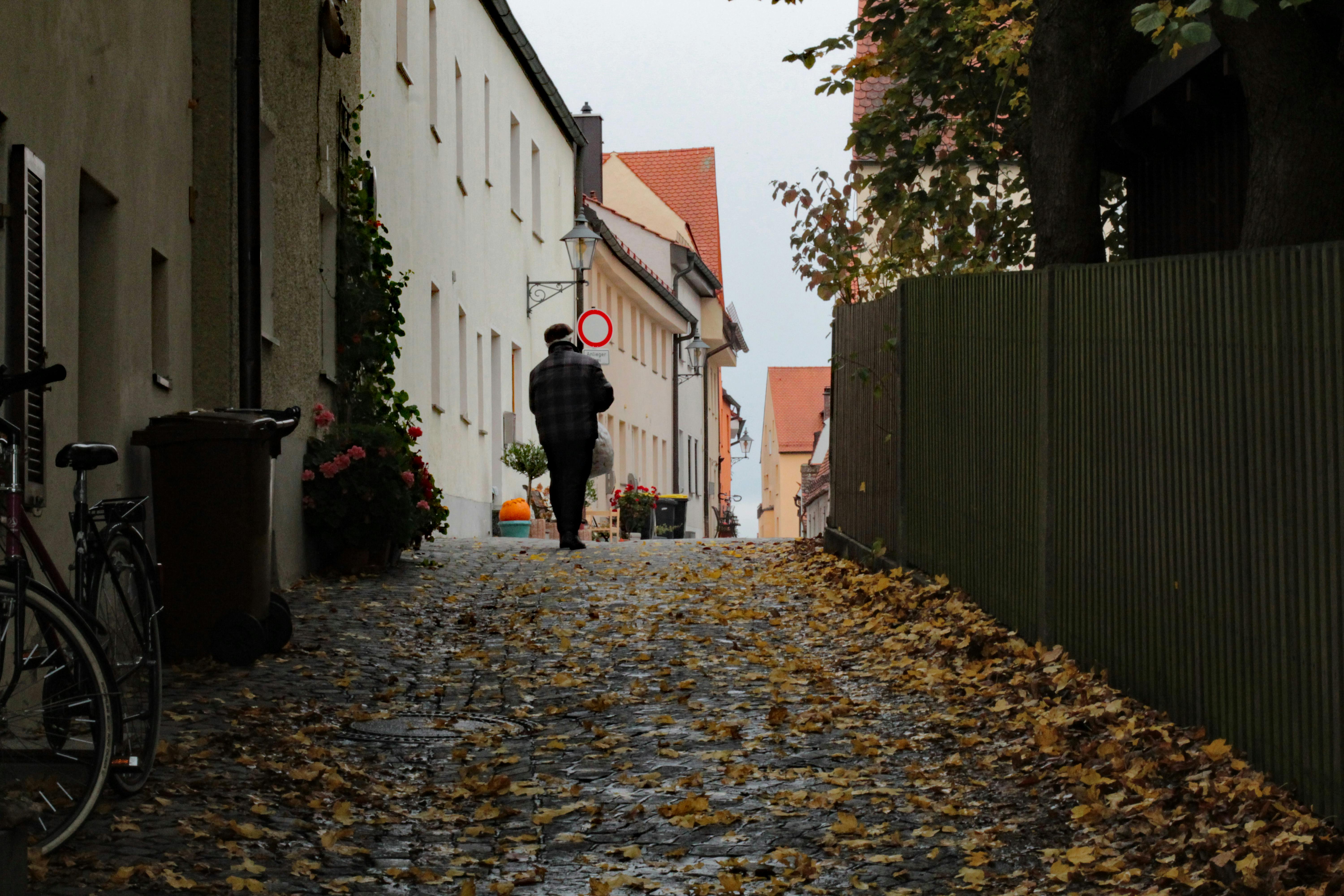 Real+Poop+Pictures Photos, Download The BEST Free Real+Poop+Pictures ...