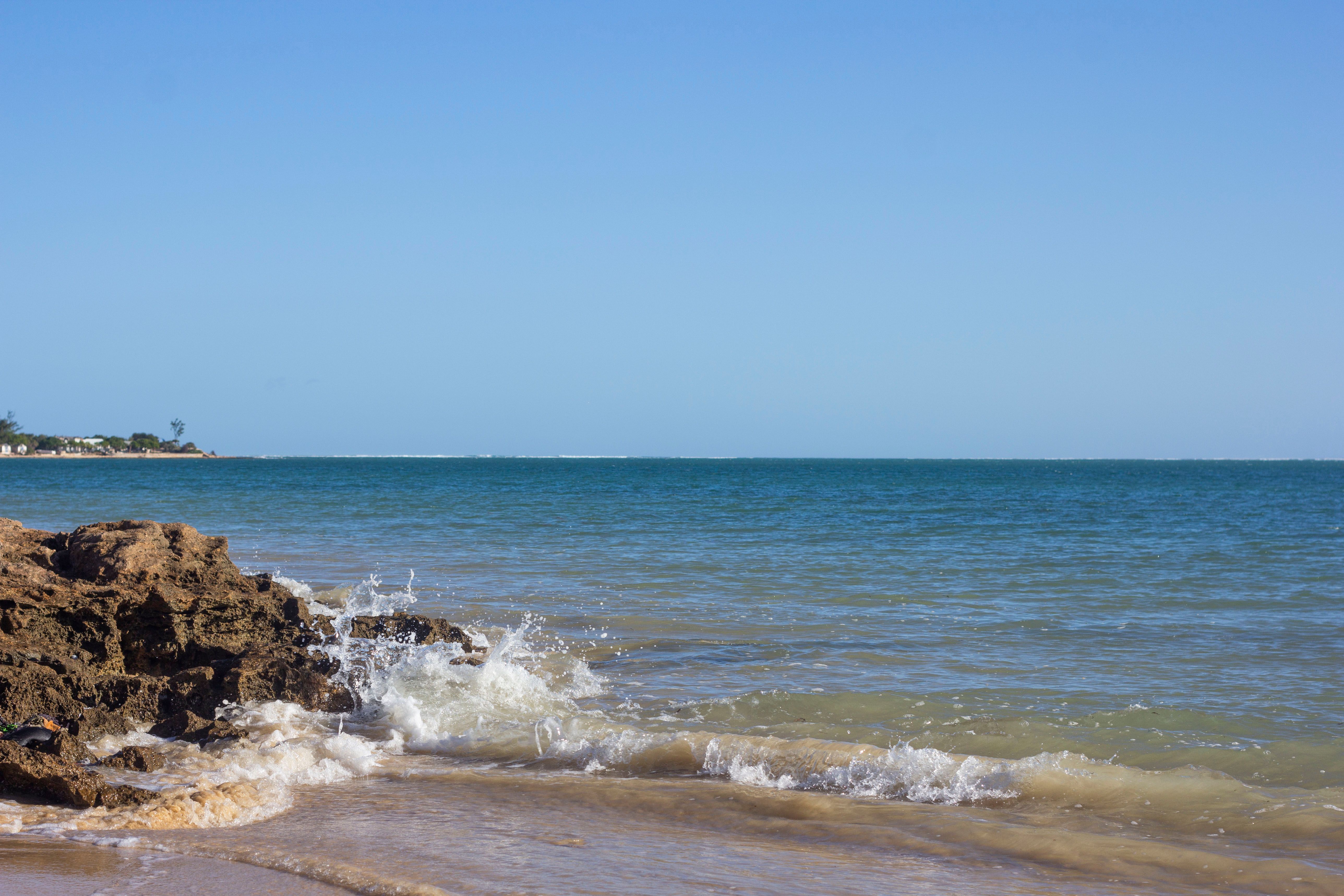 Serene Shoreline of Ifaty Beach, Madagascar · Free Stock Photo