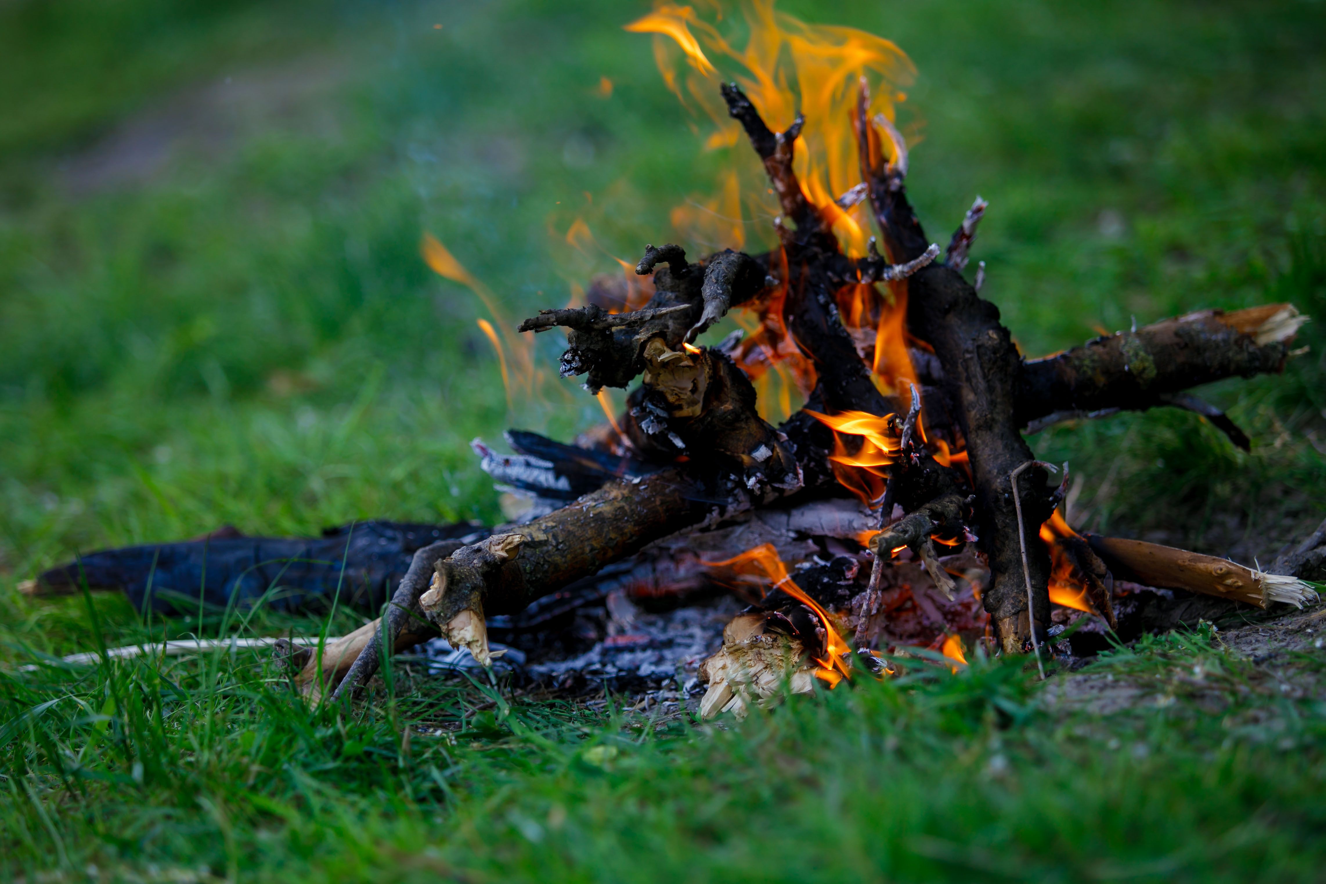 Survival Photos, Download The BEST Free Survival Stock Photos & HD Images