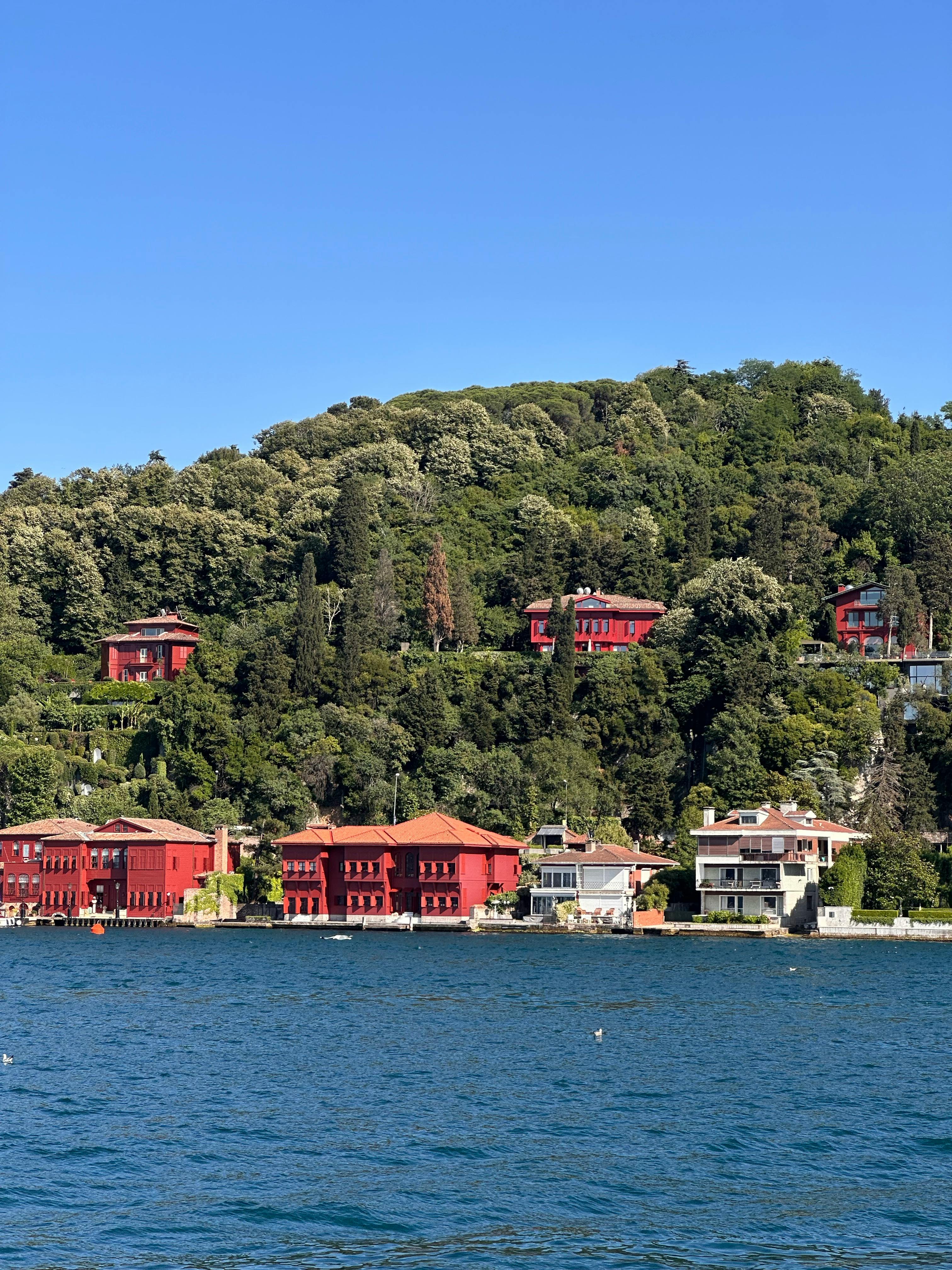 Scenic View of Red Houses by a Lush Hillside Lake · Free Stock Photo
