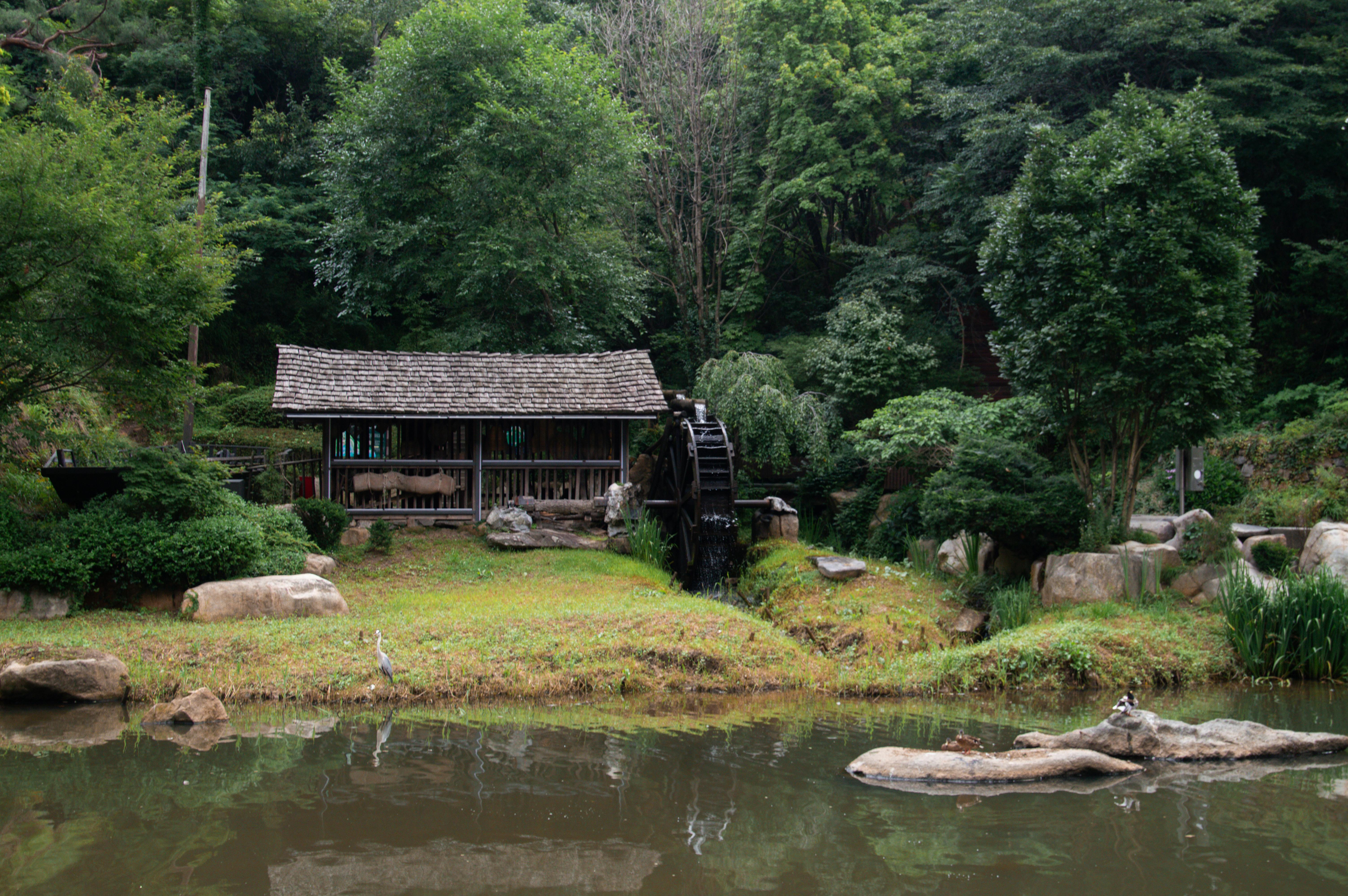 Traditional Korean Watermill in Lush Greenery · Free Stock Photo