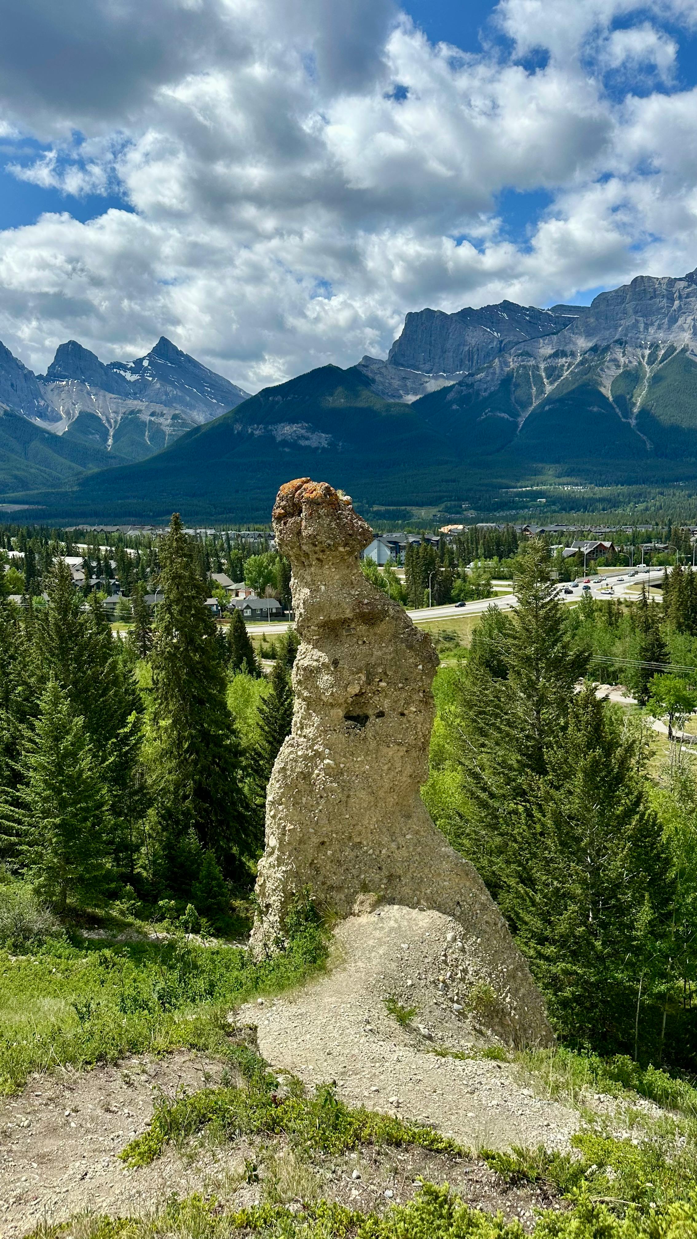 Forests Grezza Photos, Download The BEST Free Forests Grezza Stock ...