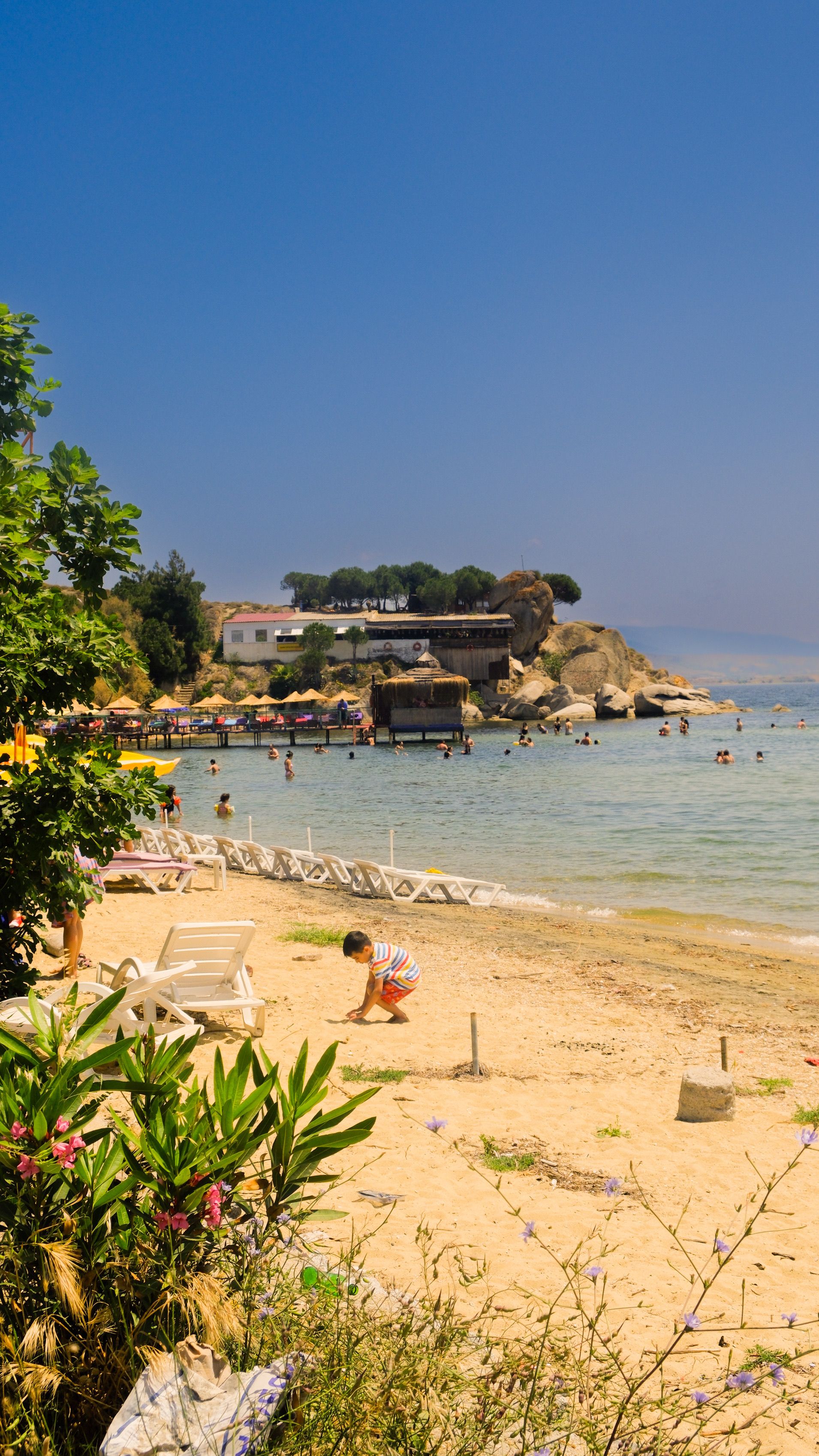 Sunbathing On The Beach Photos, Download The BEST Free Sunbathing On ...