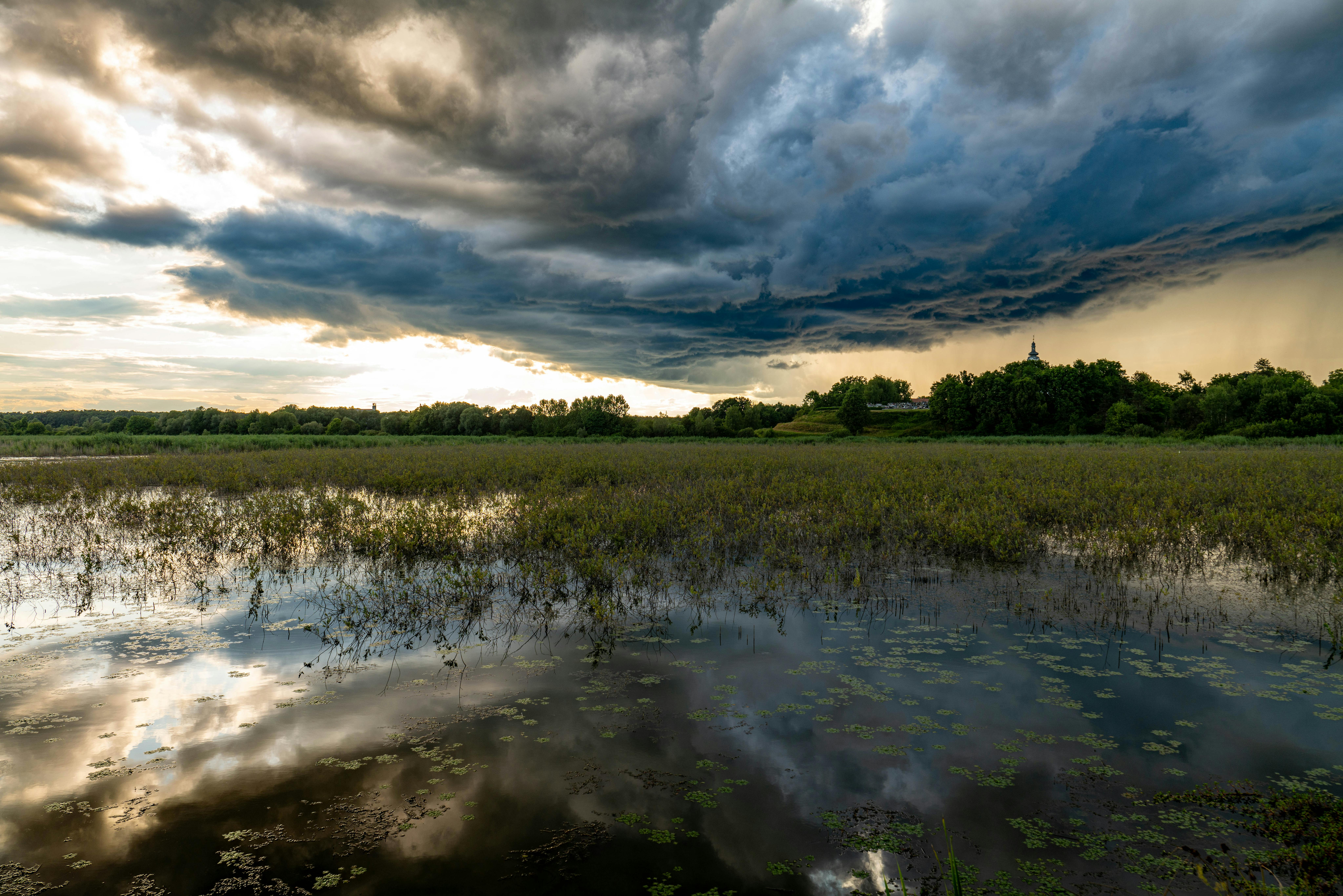 White Clouds and Green Field Horizon · Free Stock Photo