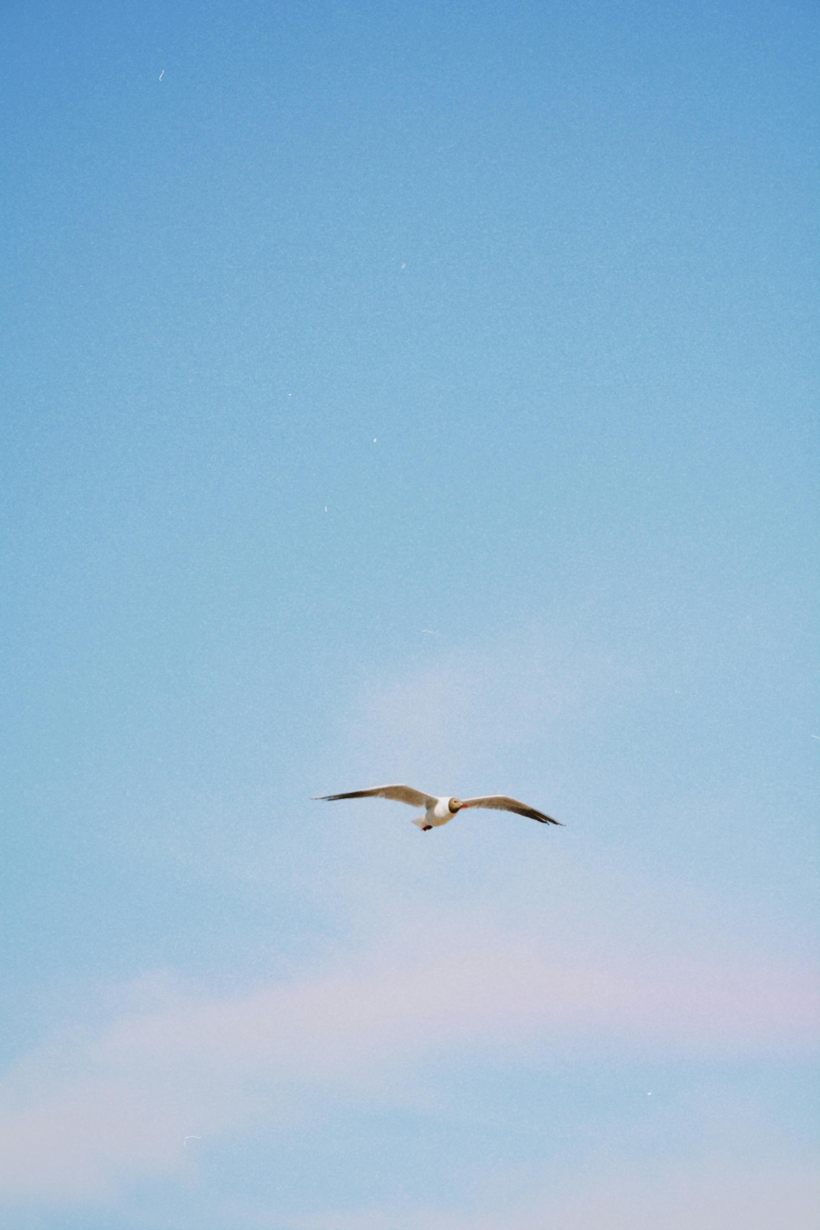 Open Porosity Photos, Download The BEST Free Open Porosity Stock Photos ...