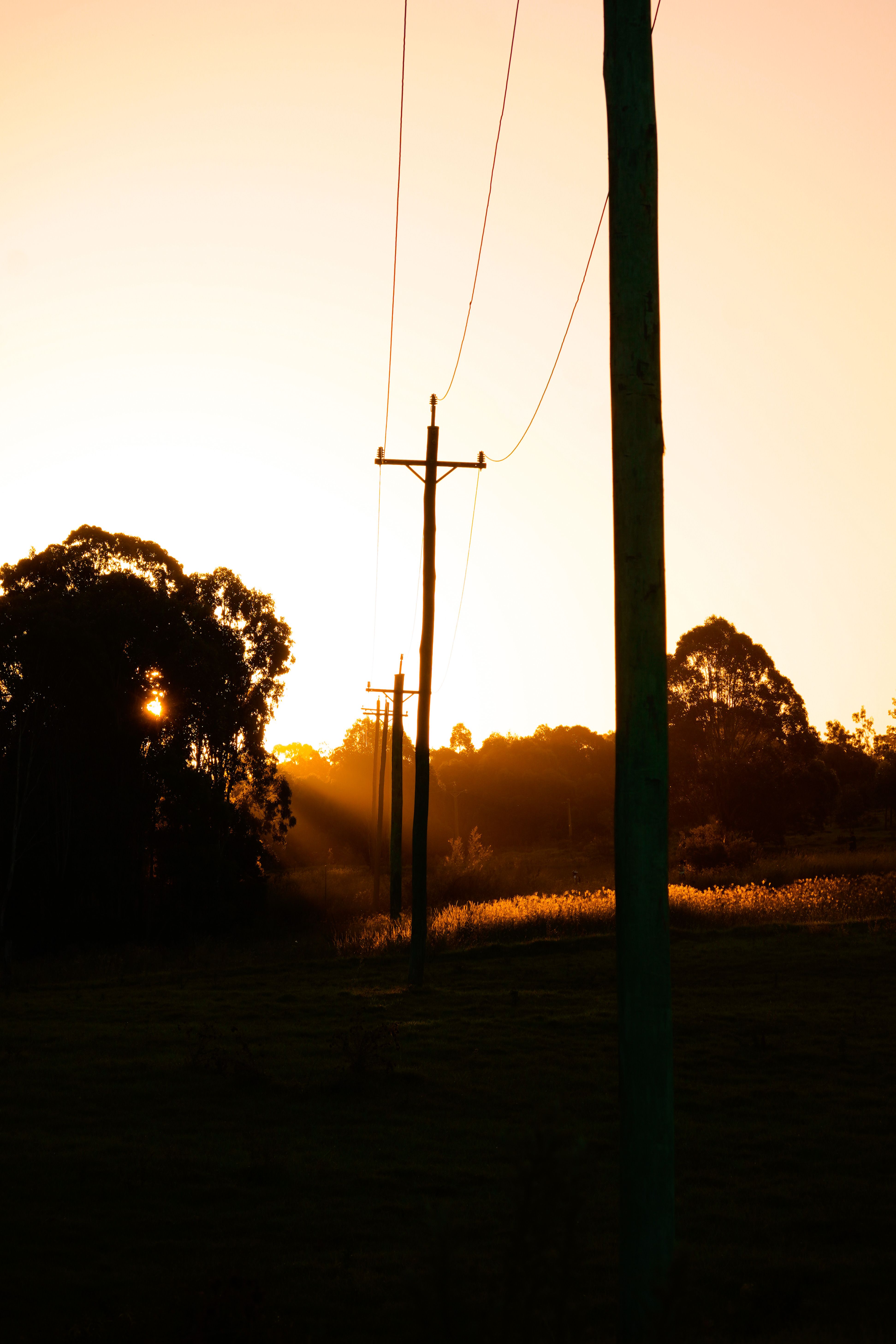Serene Sunset with Silhouetted Power Lines · Free Stock Photo