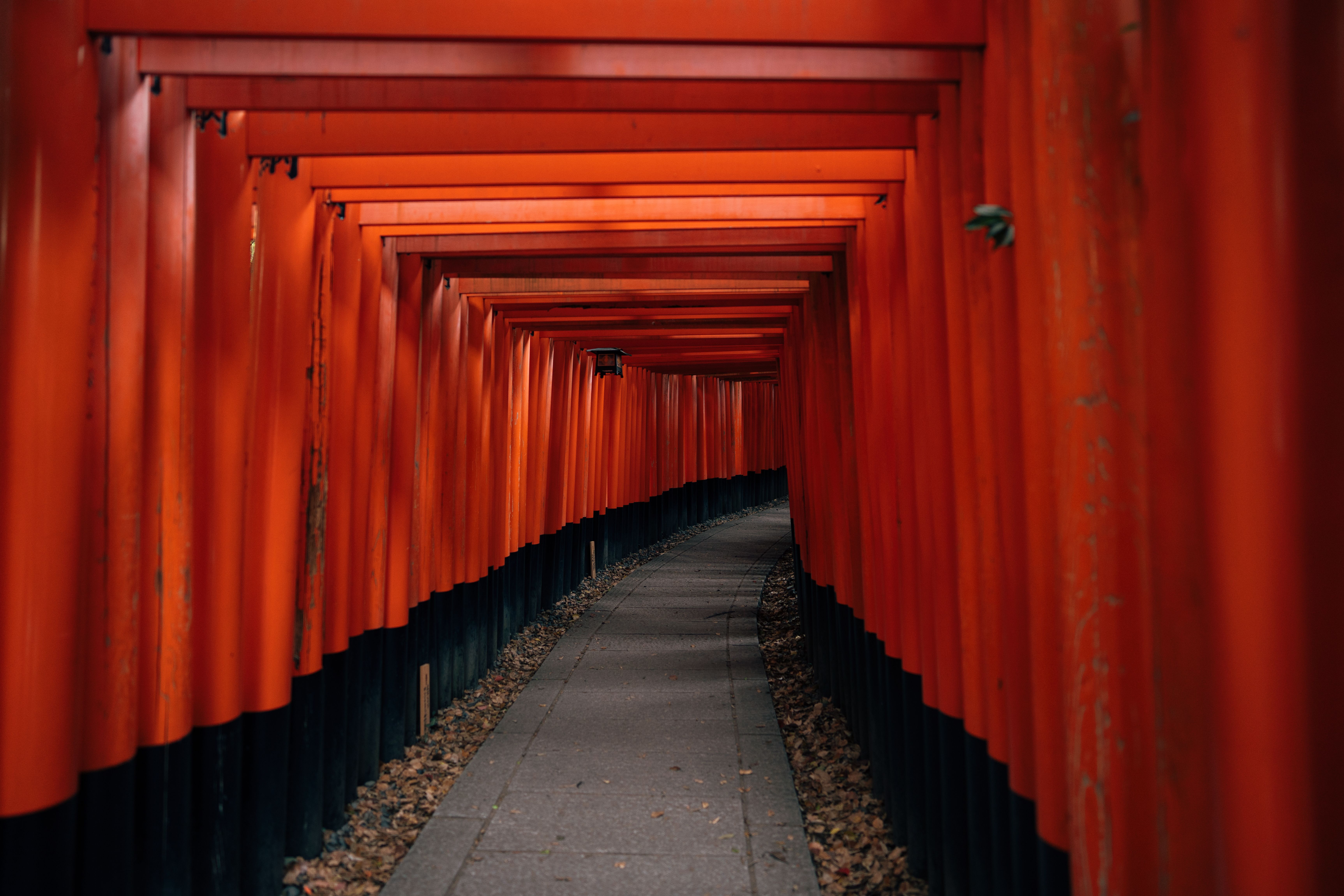 Minimal Black &White Japanese Torii Gate 4k Wallpaper Photos, Download ...
