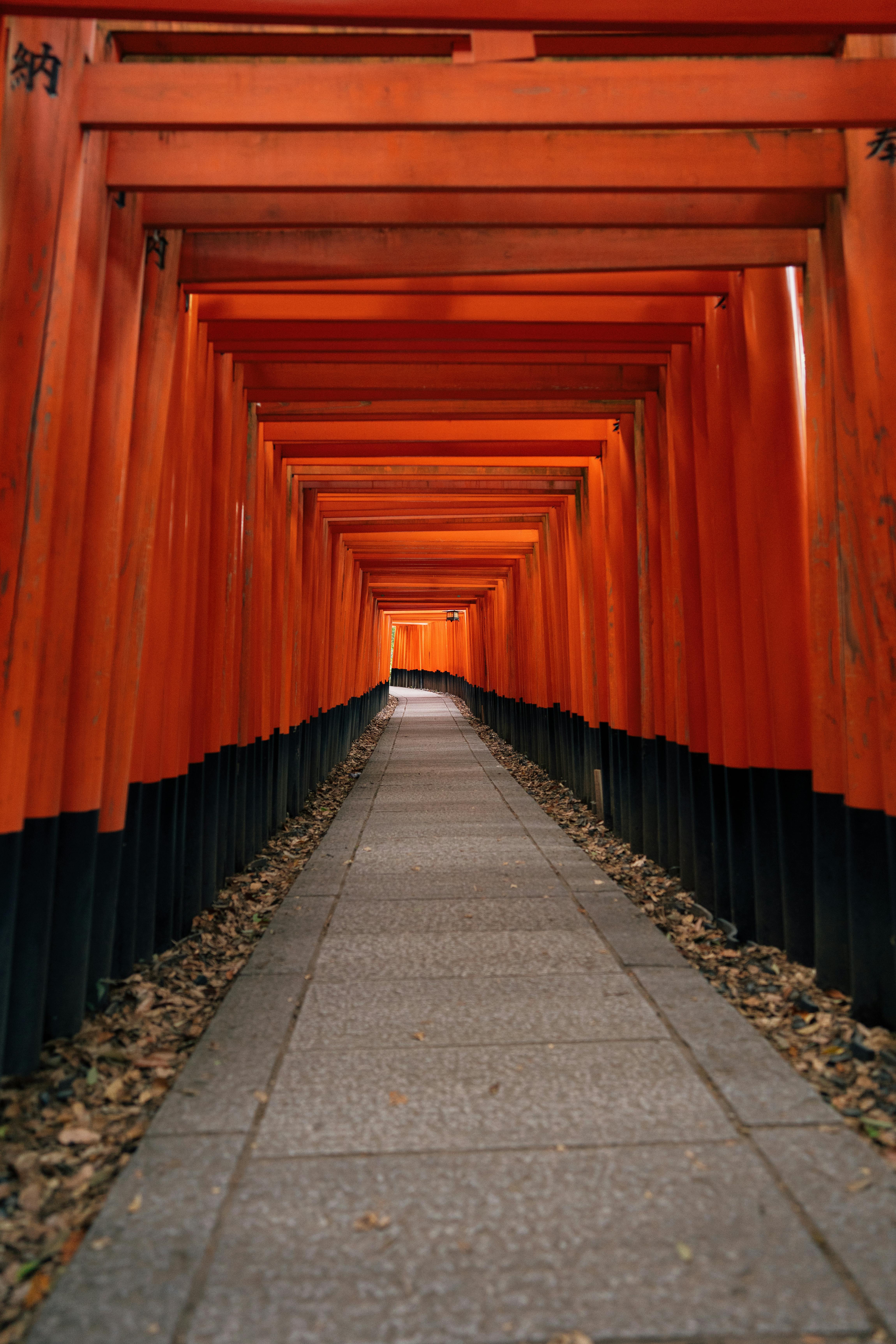 Pathway To Somewhere Iconic Photos, Download The BEST Free Pathway To ...