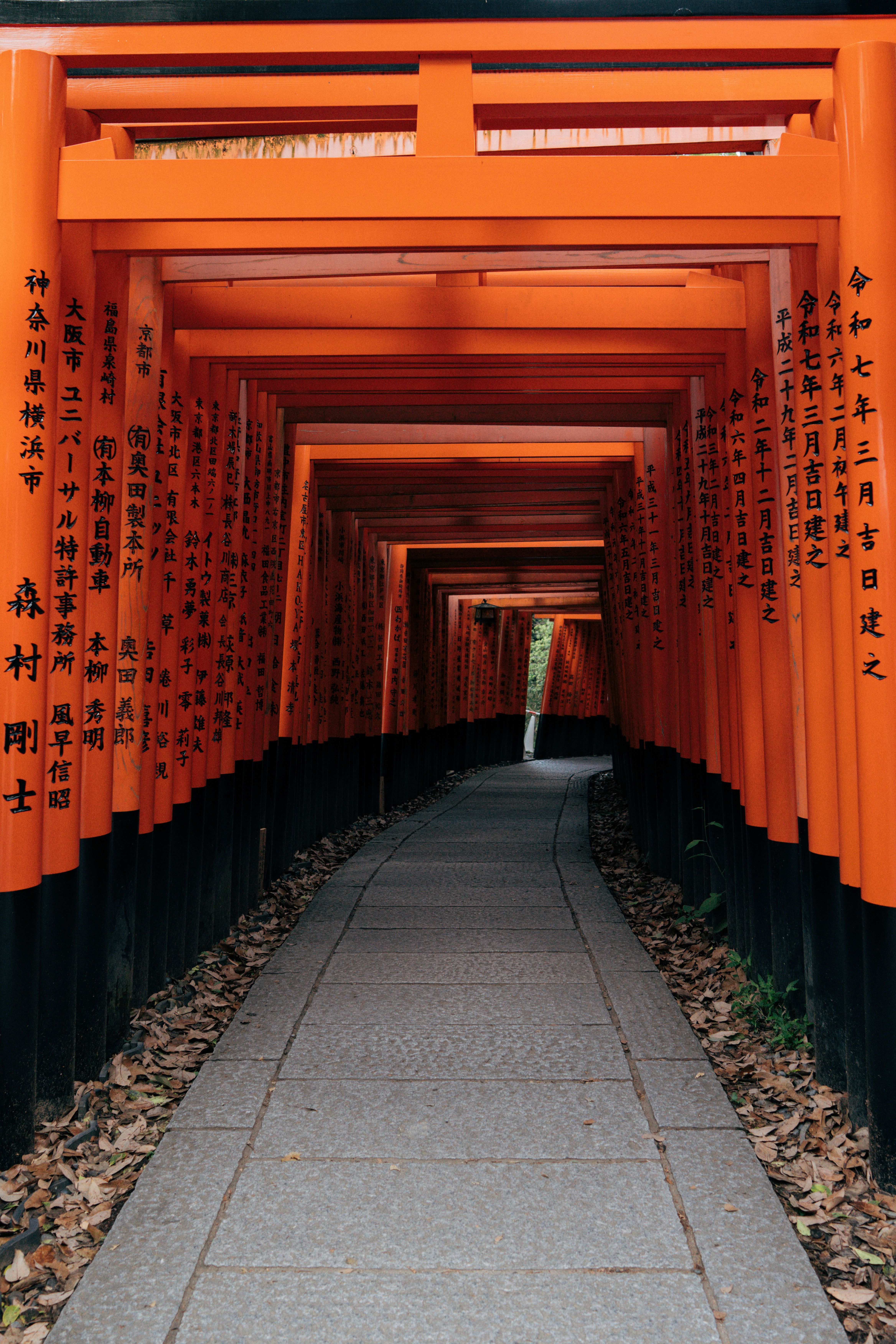 Iconic Red Torii Gates in Fushimi Inari Shrine · Free Stock Photo