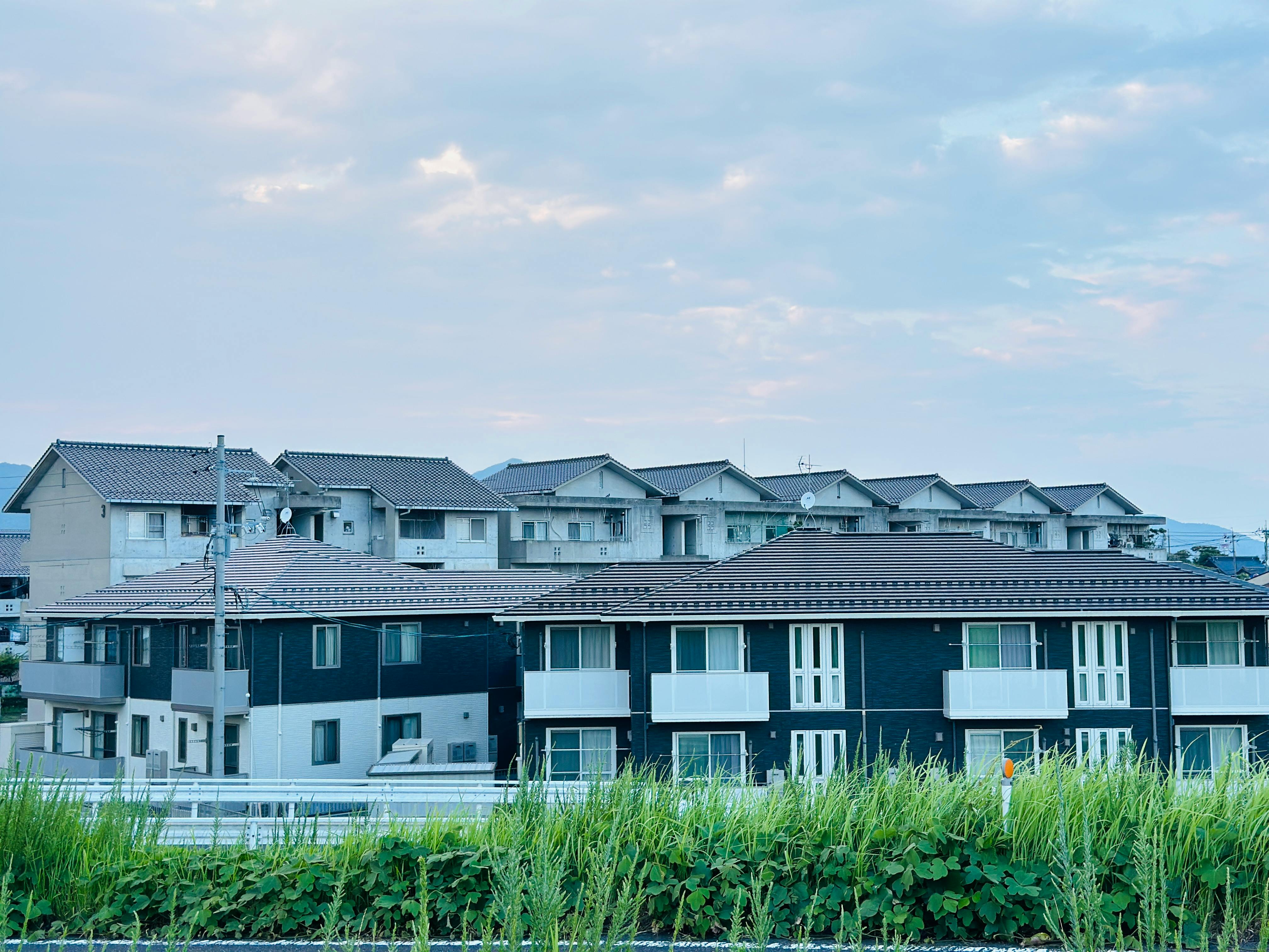 Dr. Mohammad Hoque - 摄影