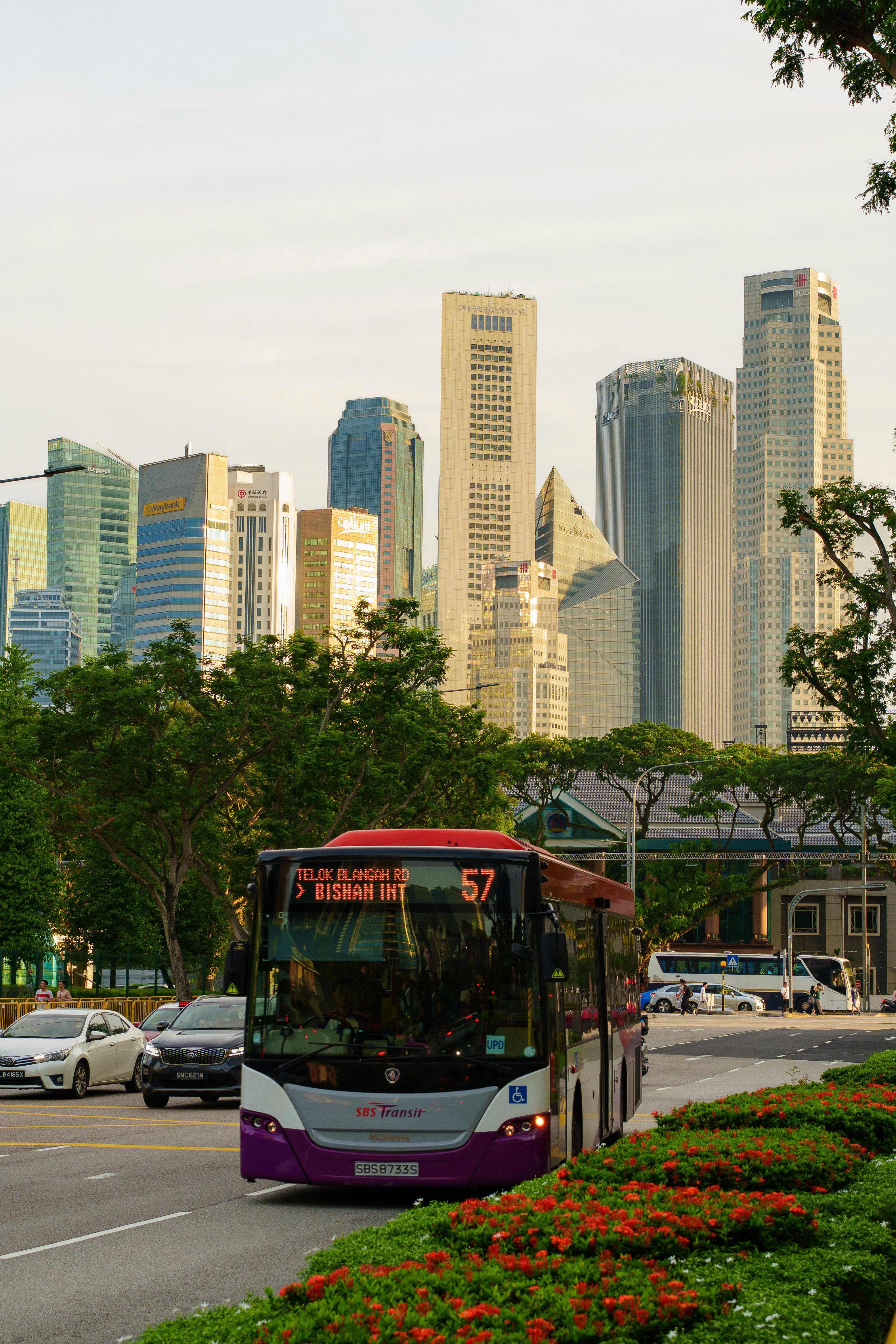 Unsplash Bus Photos, Download The BEST Free Unsplash Bus Stock Photos ...